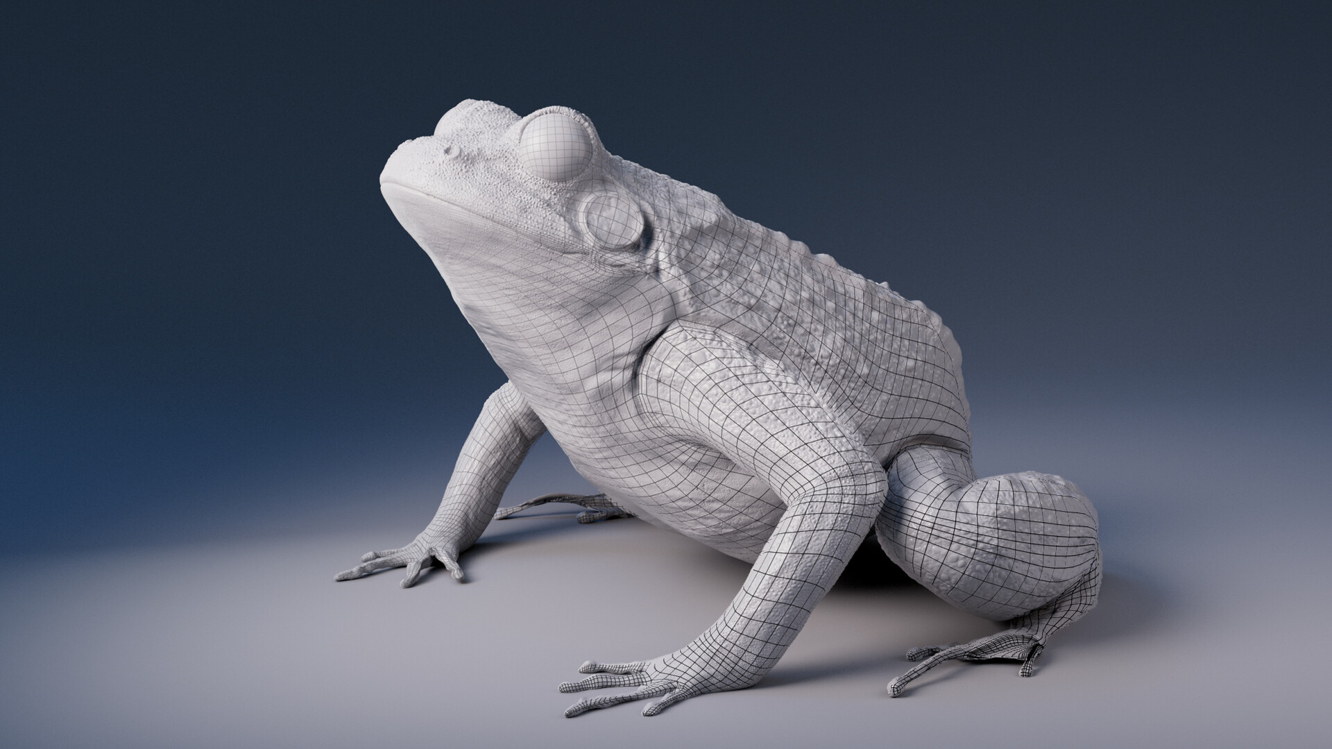 Rohit Kottamasu - Frog