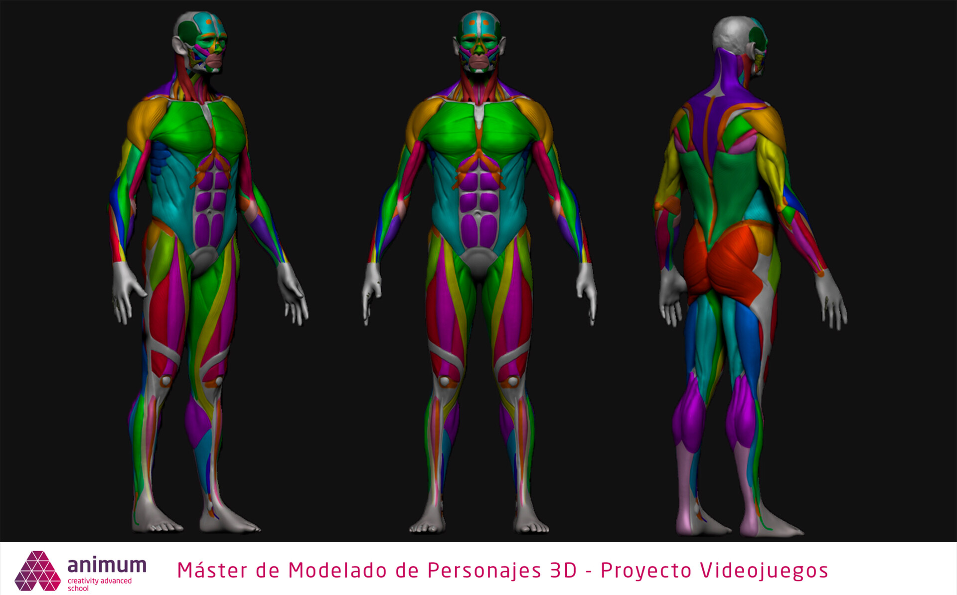 Maria Cacabelos - Modelado de Personajes 3d, Estudio Anatomico