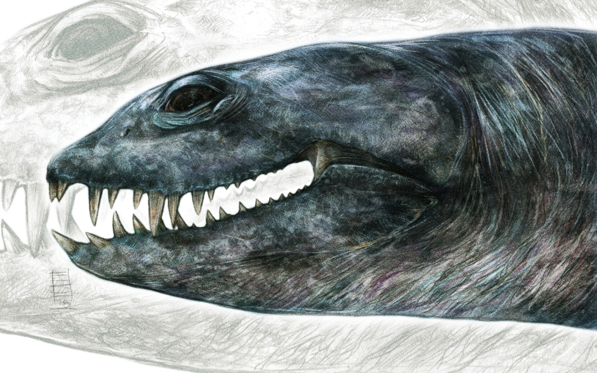 Elia Smaniotto - What a weird giraffe_A Zarafasaura Portrait