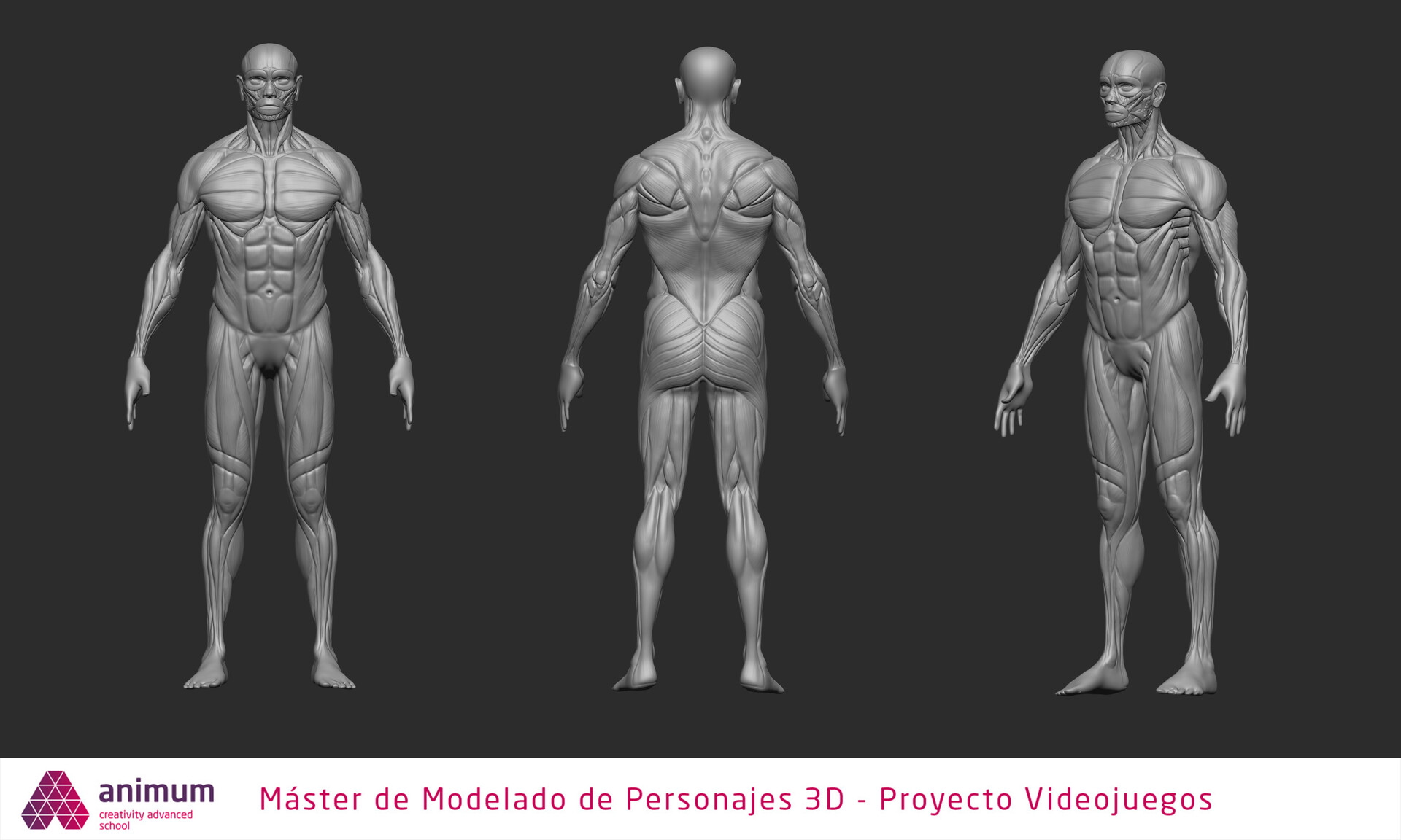 Inside Human Body 3d