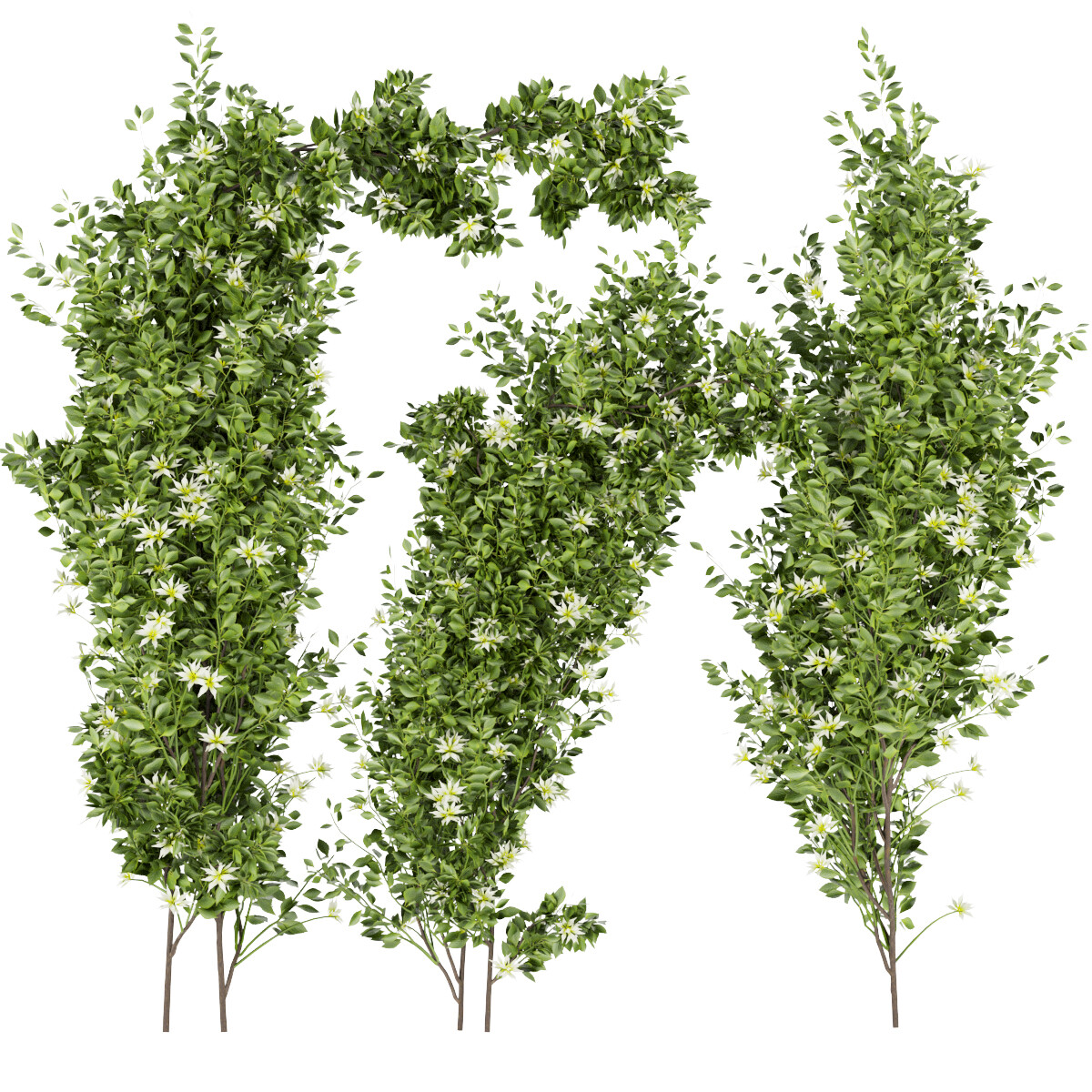 ArtStation - Collection plant vol 337 - outdoor - bush - flower - leaf ...