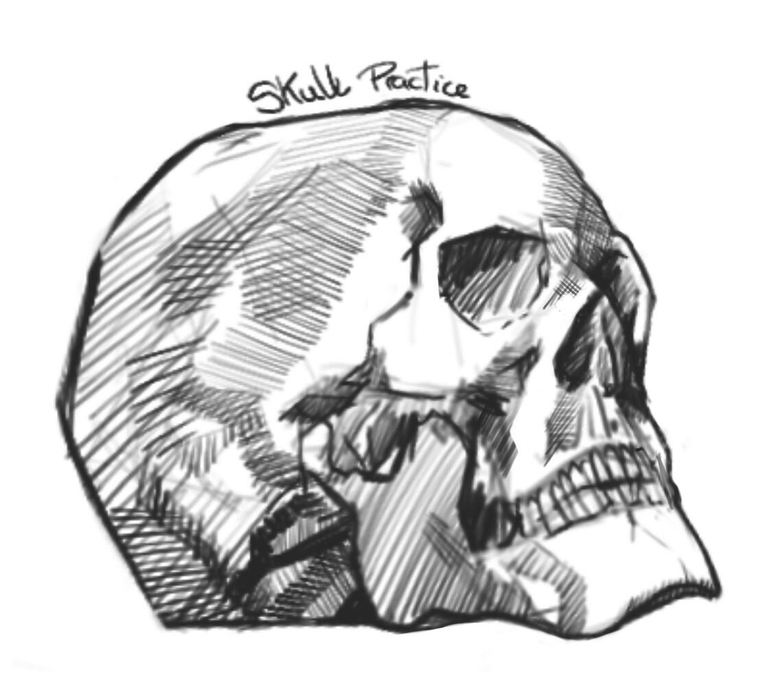 ArtStation - Skull sketch