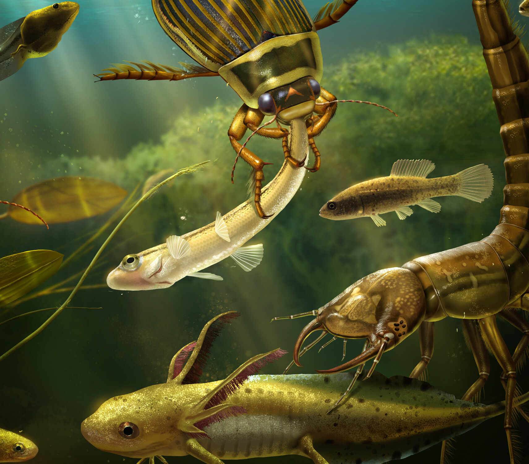 Péter Kovács - In the Lake