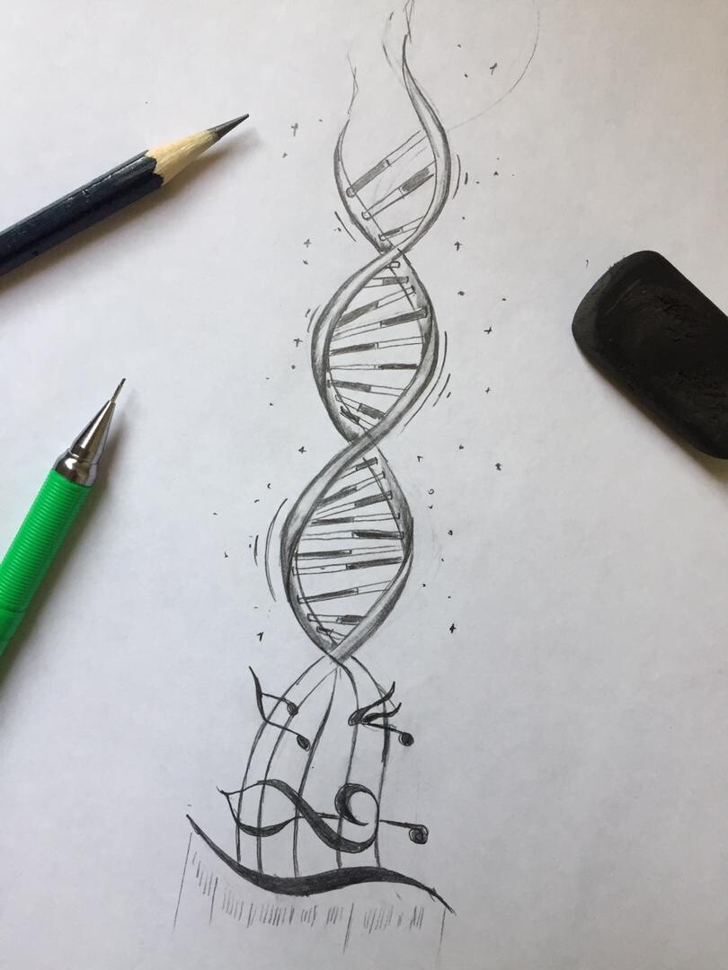 ArtStation - Shadow Drawings