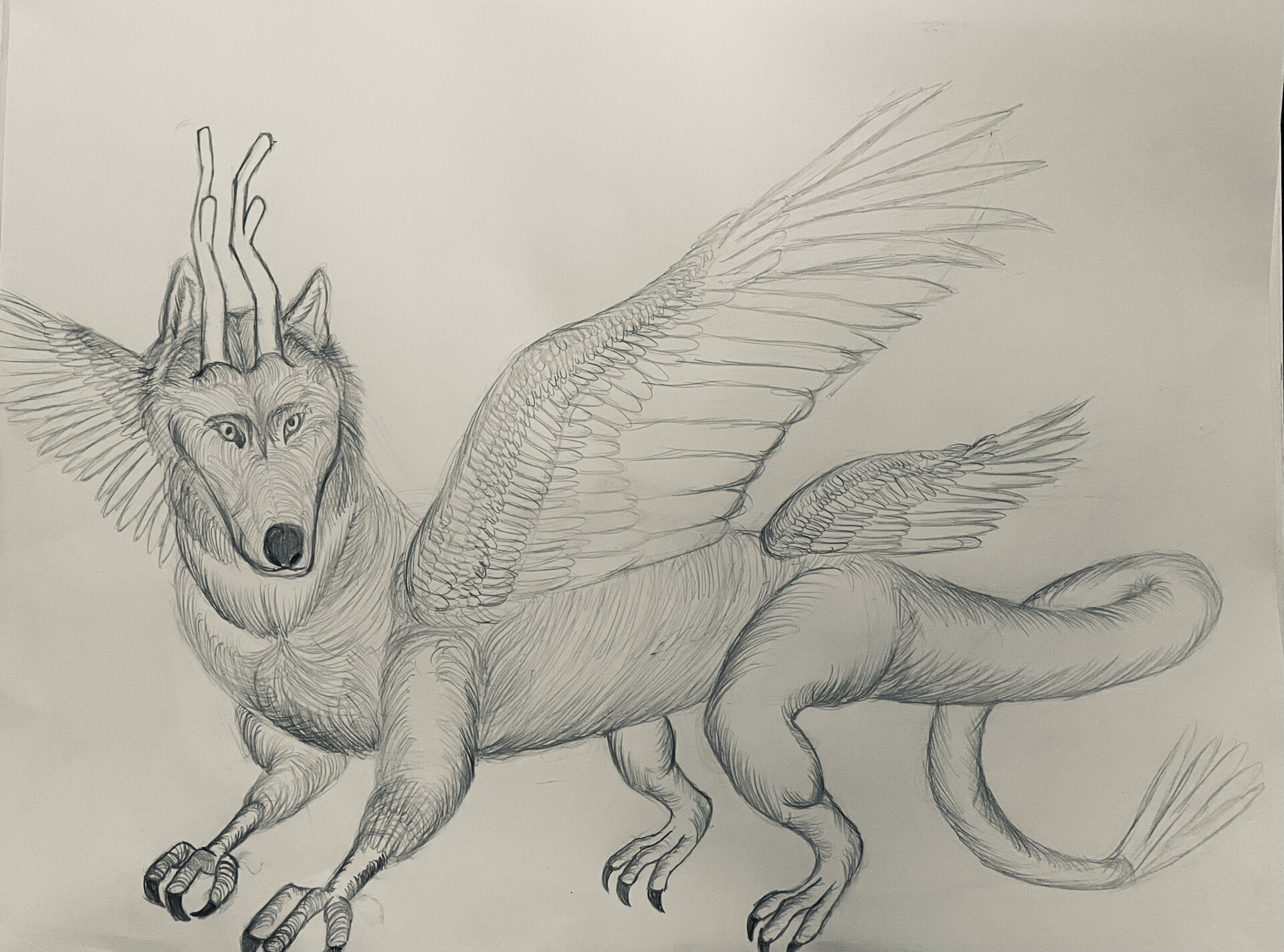 ArtStation - Animal Drawing Final