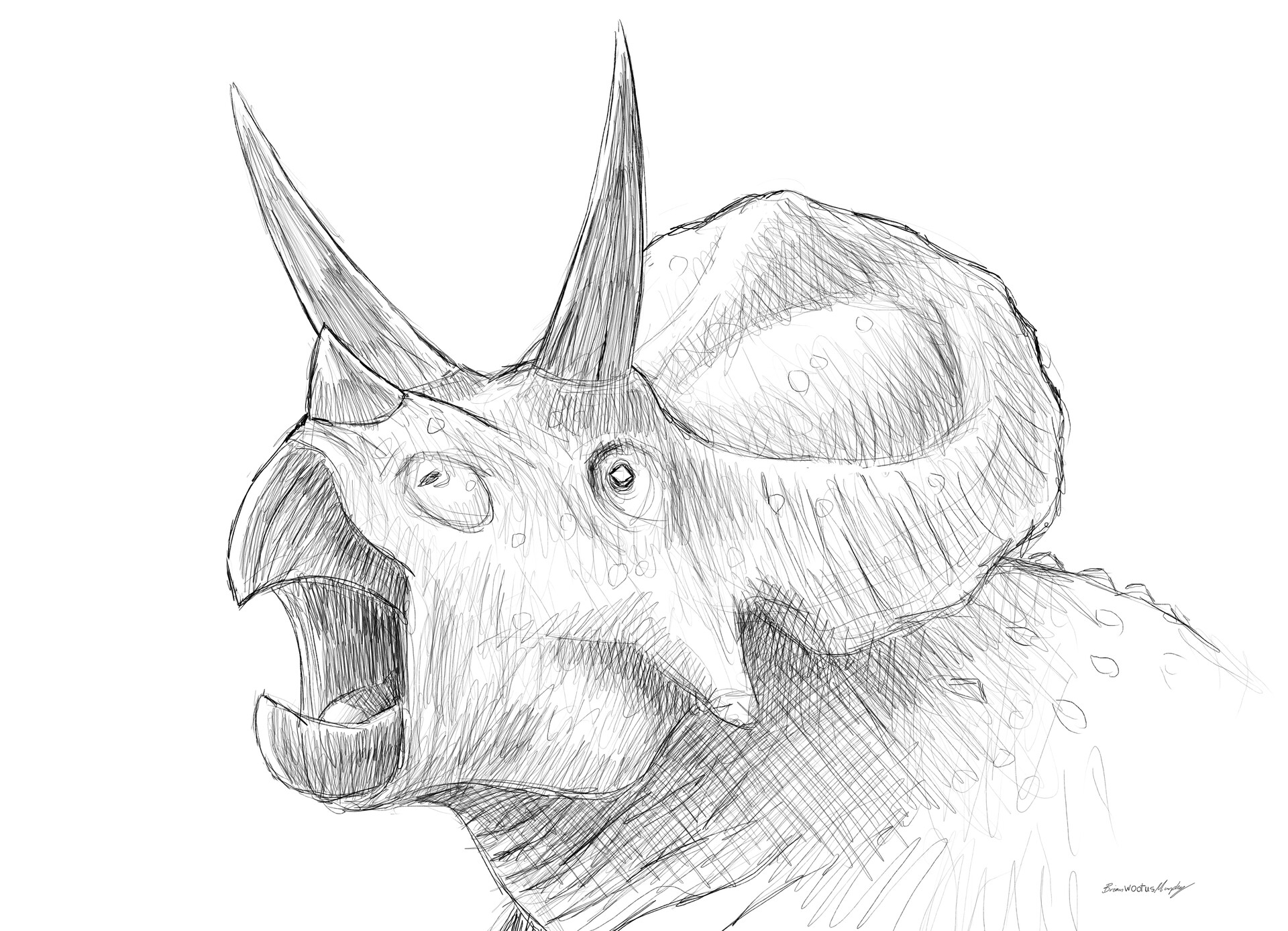 Brian J Murphy - Portrait Of A Torosaurus