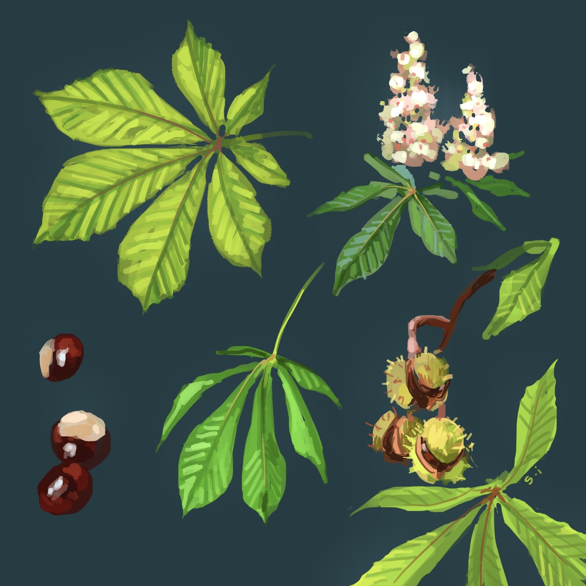 ArtStation - Chestnuts are very pretty