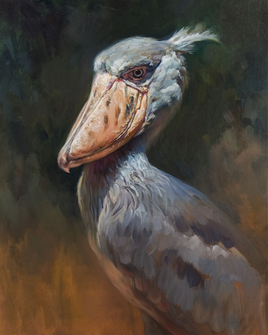 ArtStation - Shoebill stork (oil on canvas)