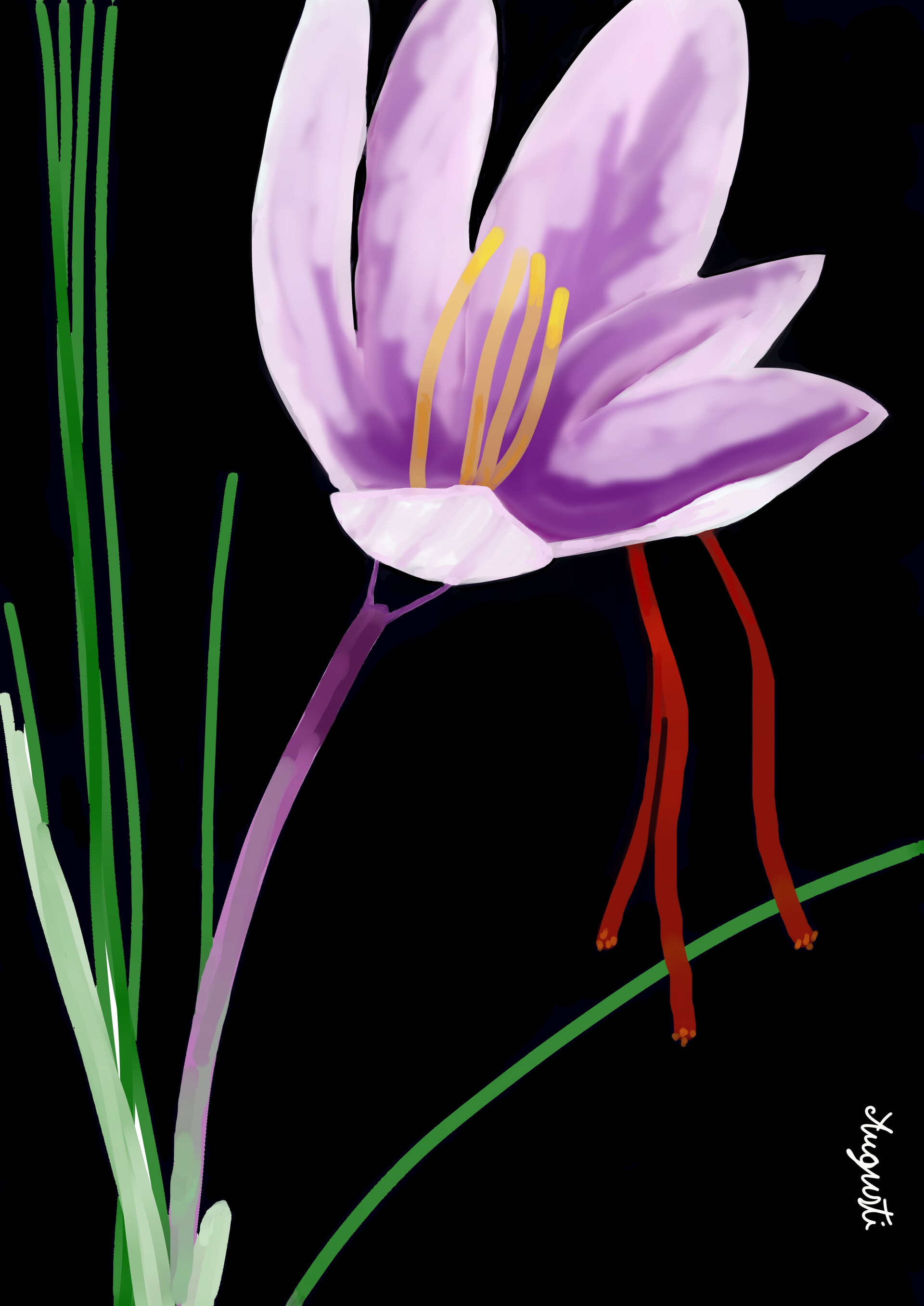 ArtStation - Crocus flower
