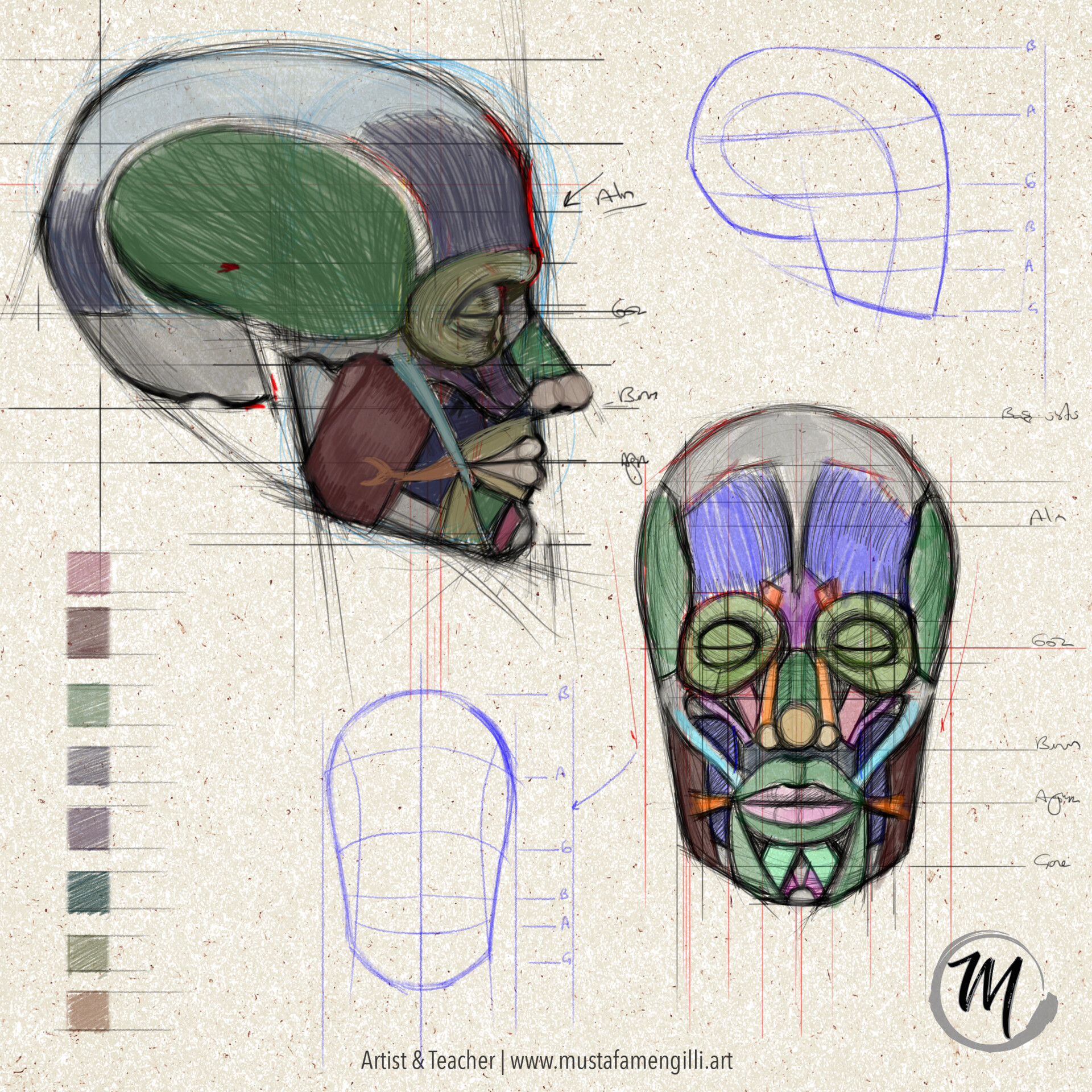 ArtStation - Head Anatomy