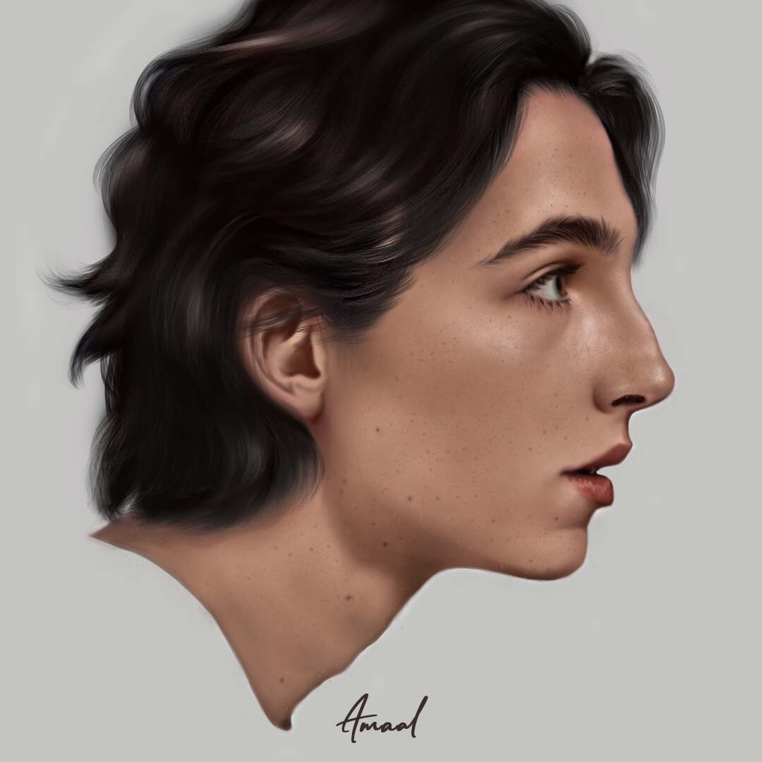 ArtStation - Timothée Chalamet Portrait