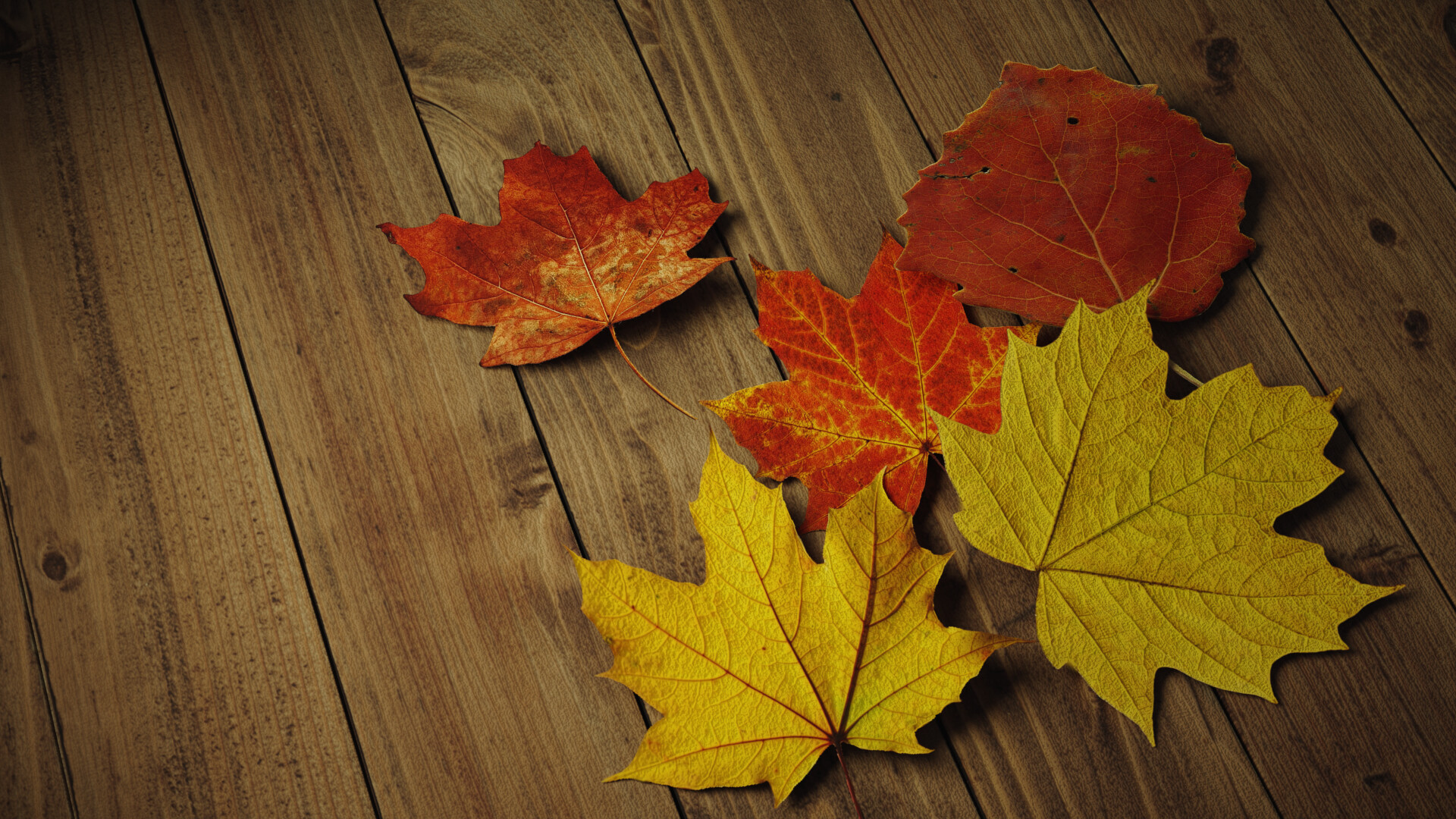 ArtStation - Autumn Leaves