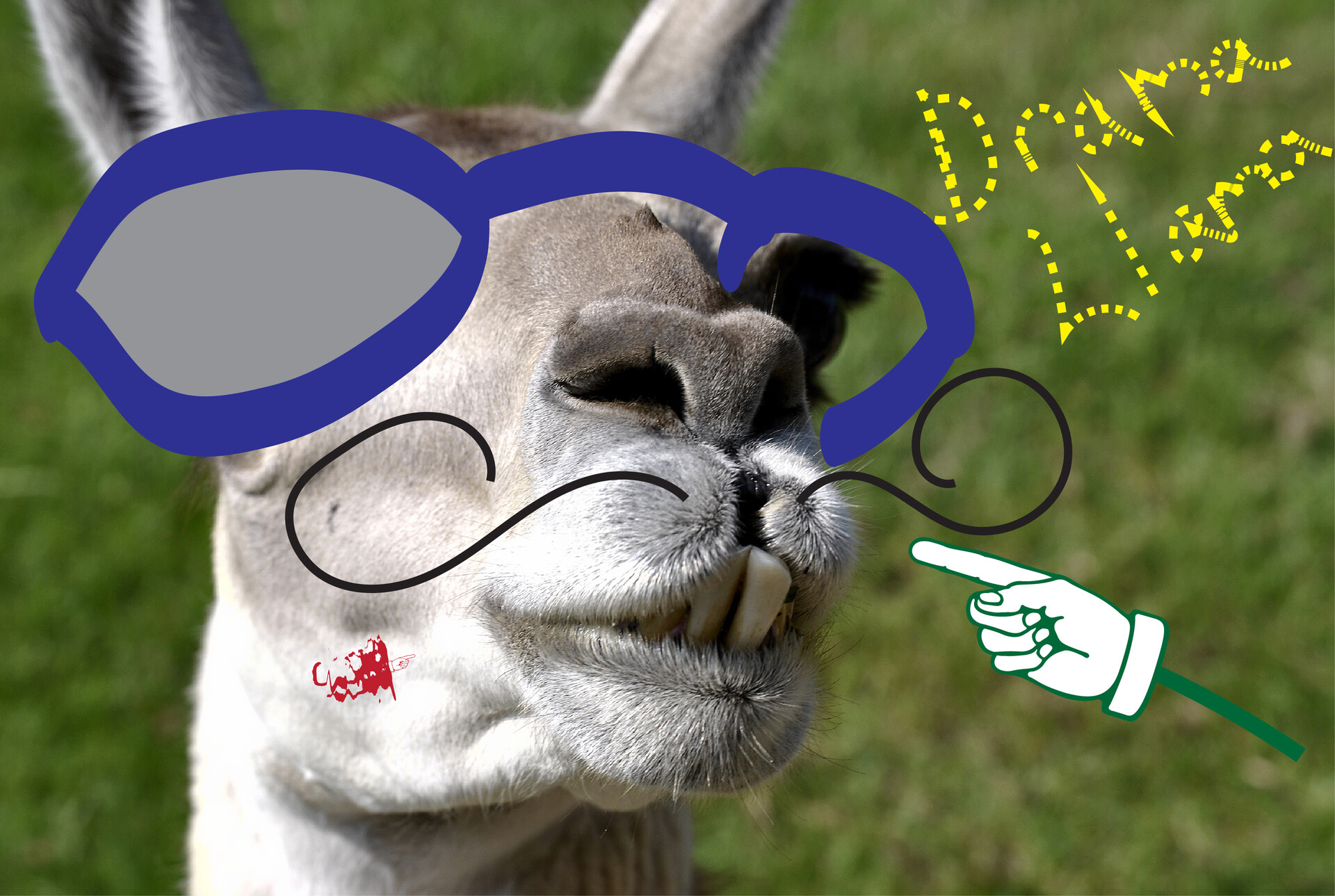 ArtStation - Drama Llama