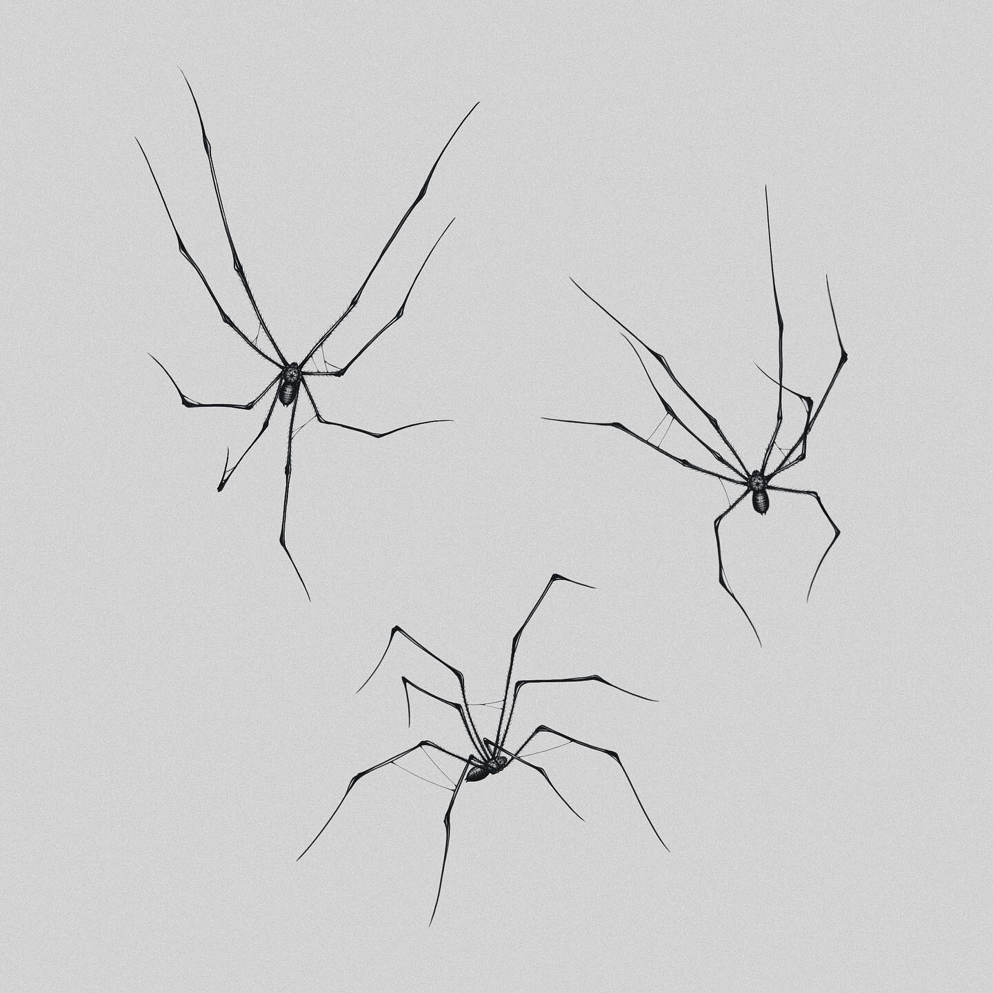 ArtStation - Spiders
