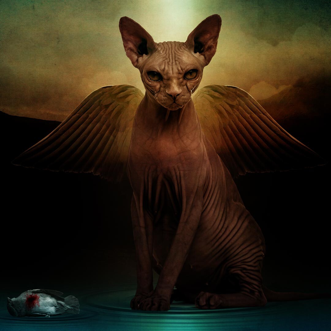 Johan Lilja - Predator