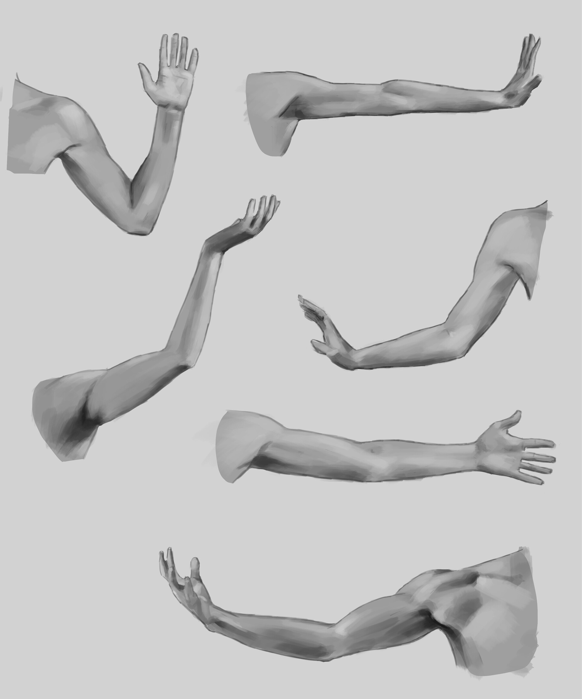 Arm Study Group at Jill Sapp blog
