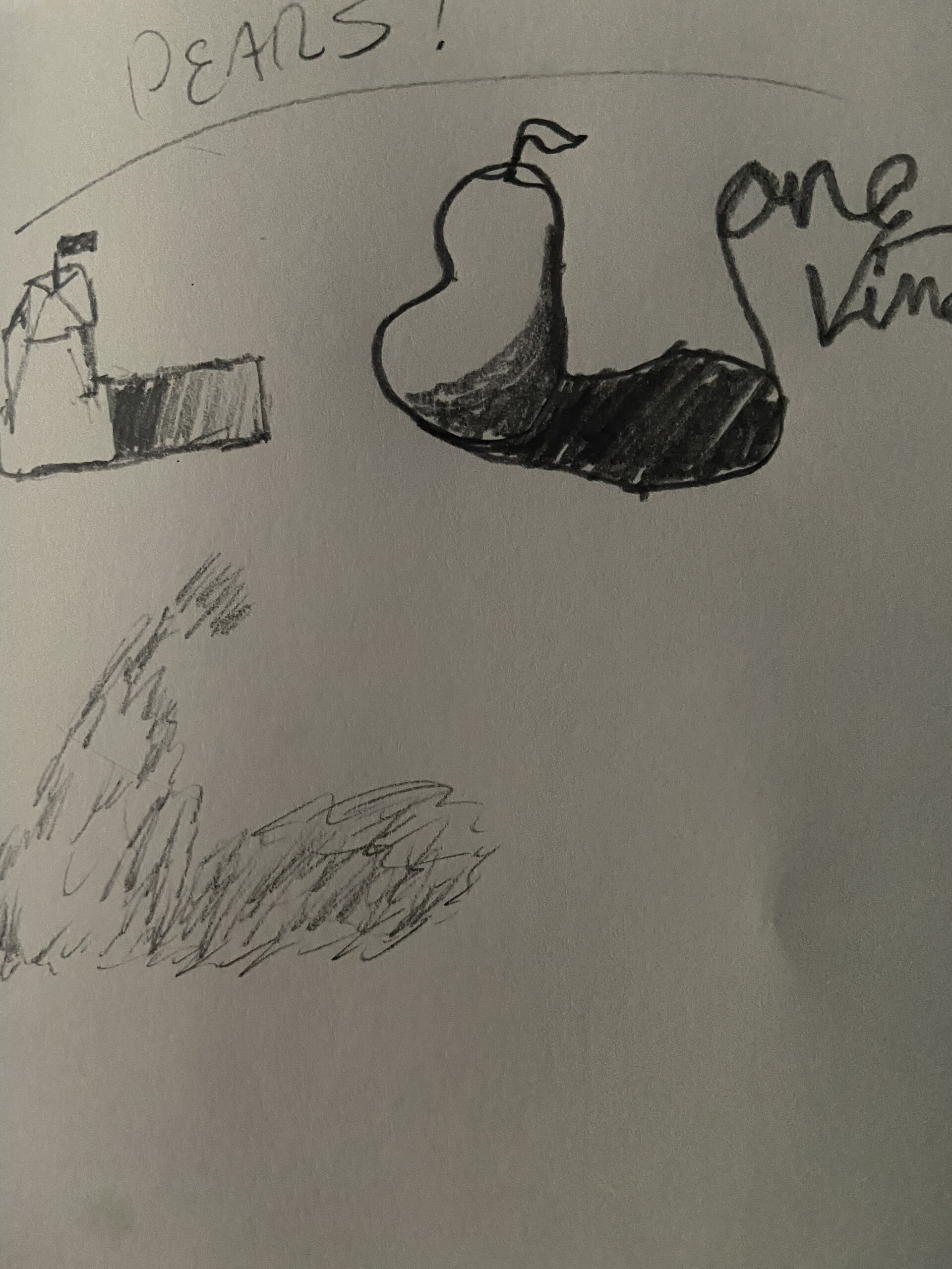 ArtStation - Different pear sketches. Enjoy