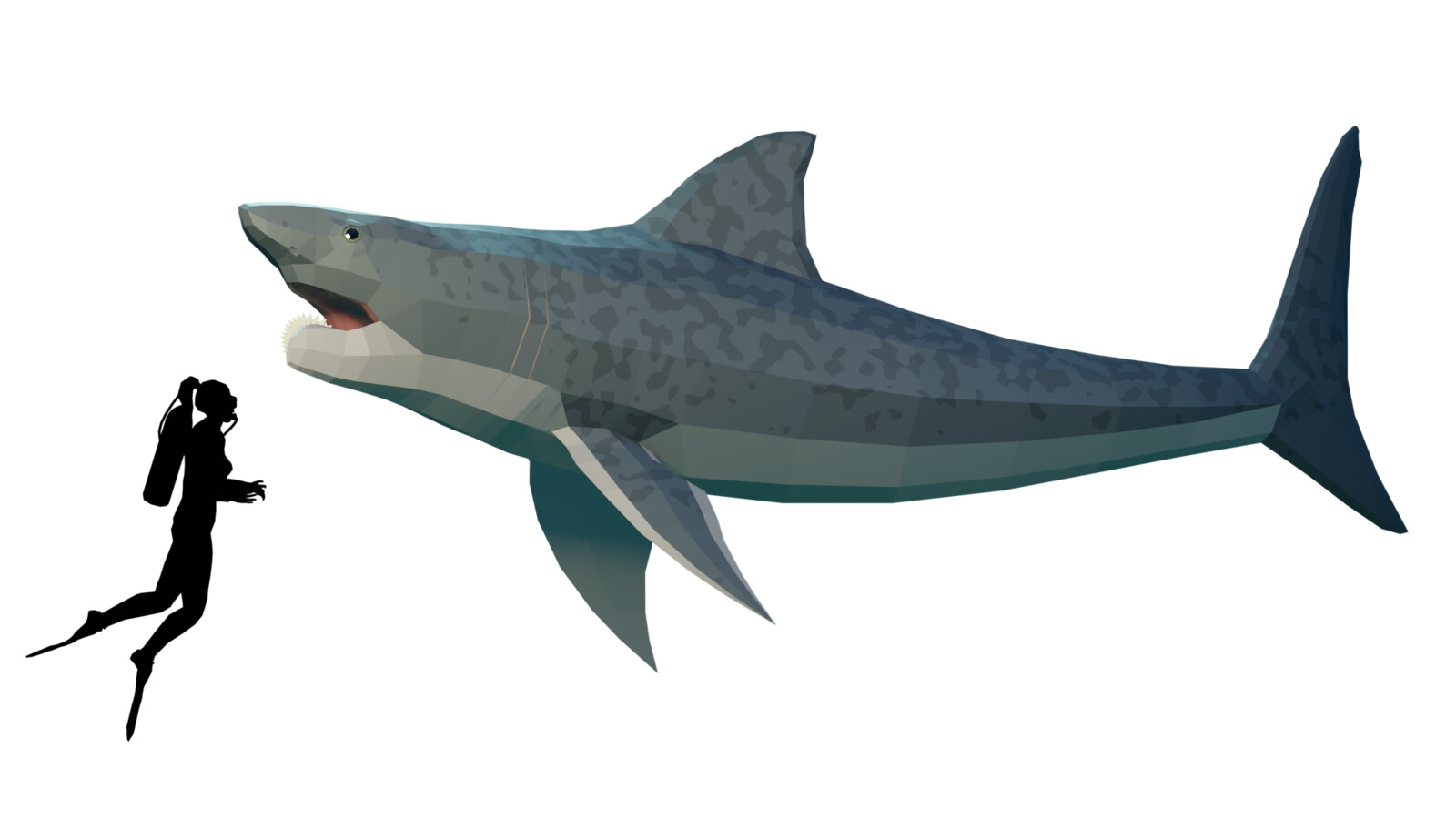 Adam Midzuk - Shark poster