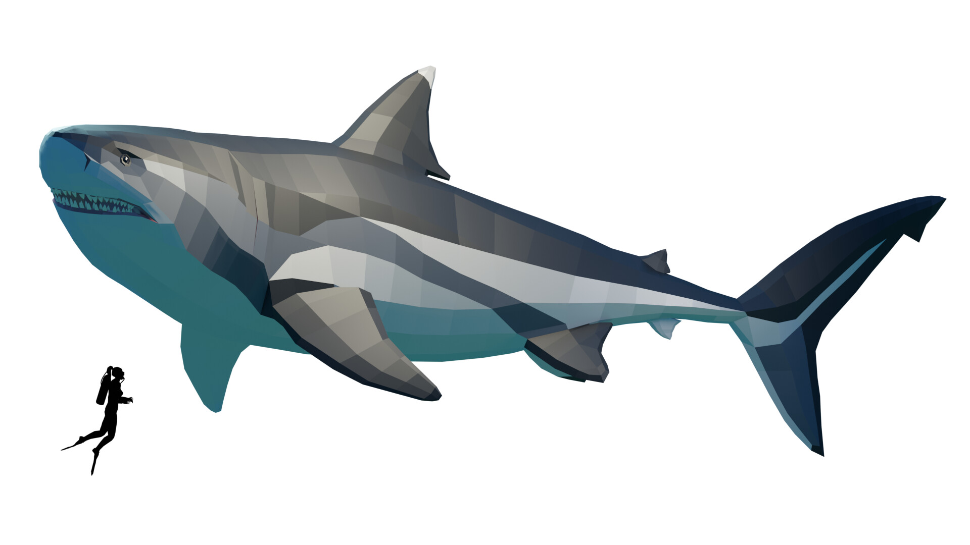 Adam Midzuk - Shark poster