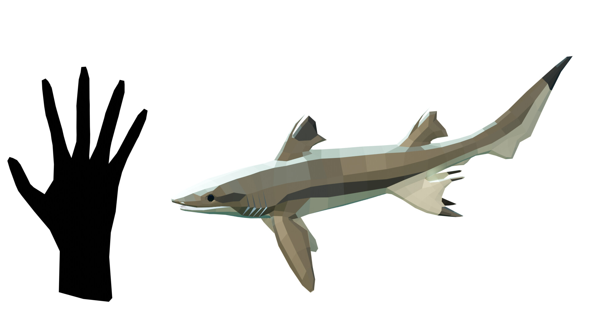 Adam Midzuk - Shark poster