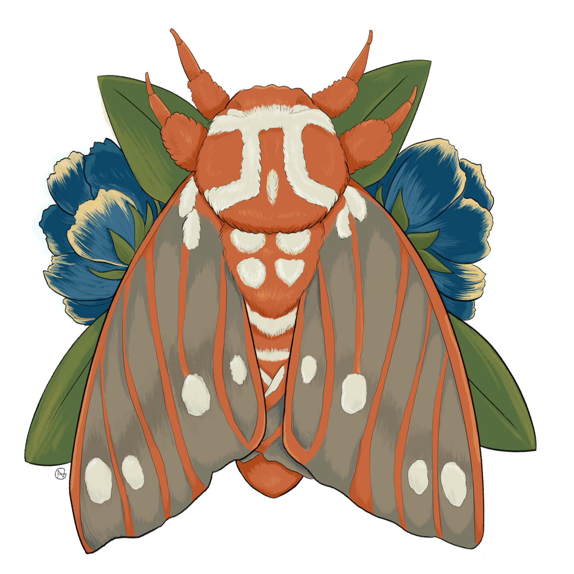 ArtStation - Regal Moth