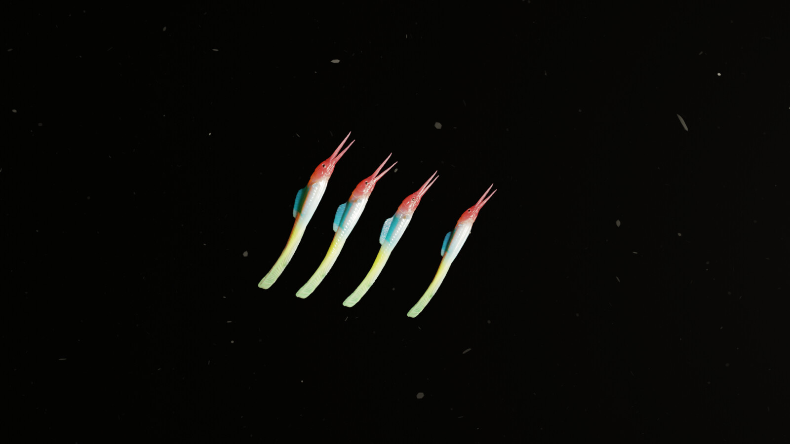 Ignas - Untouchable Bathysphere fish