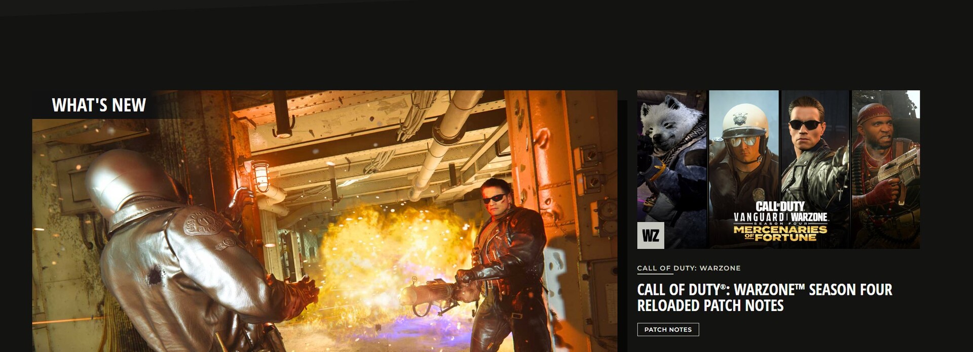 Sail Lin - COD Vanguard Samoye skin plagiarism