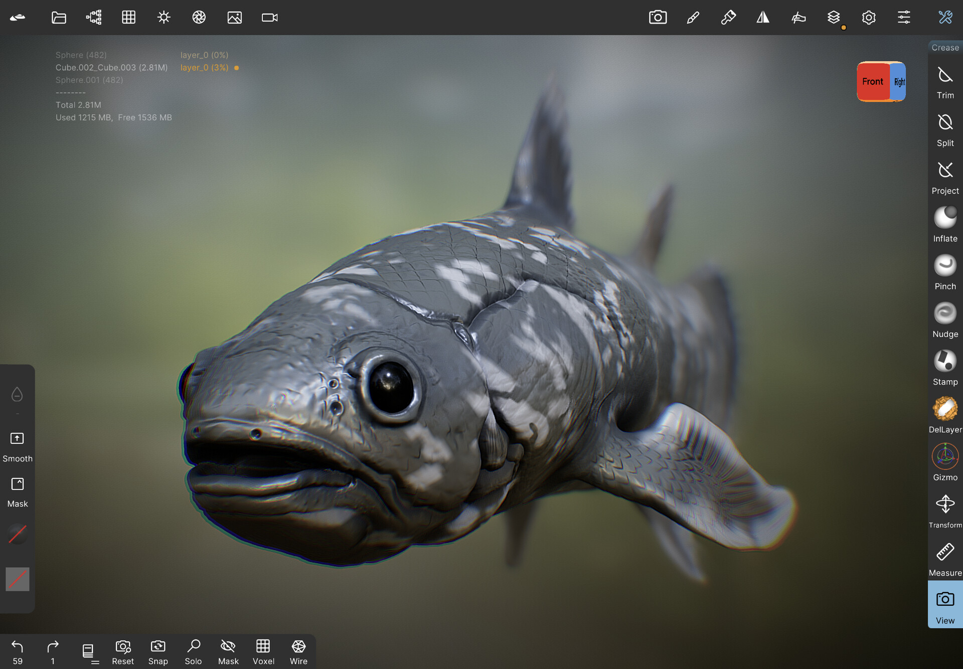 ArtStation - Coelacanth