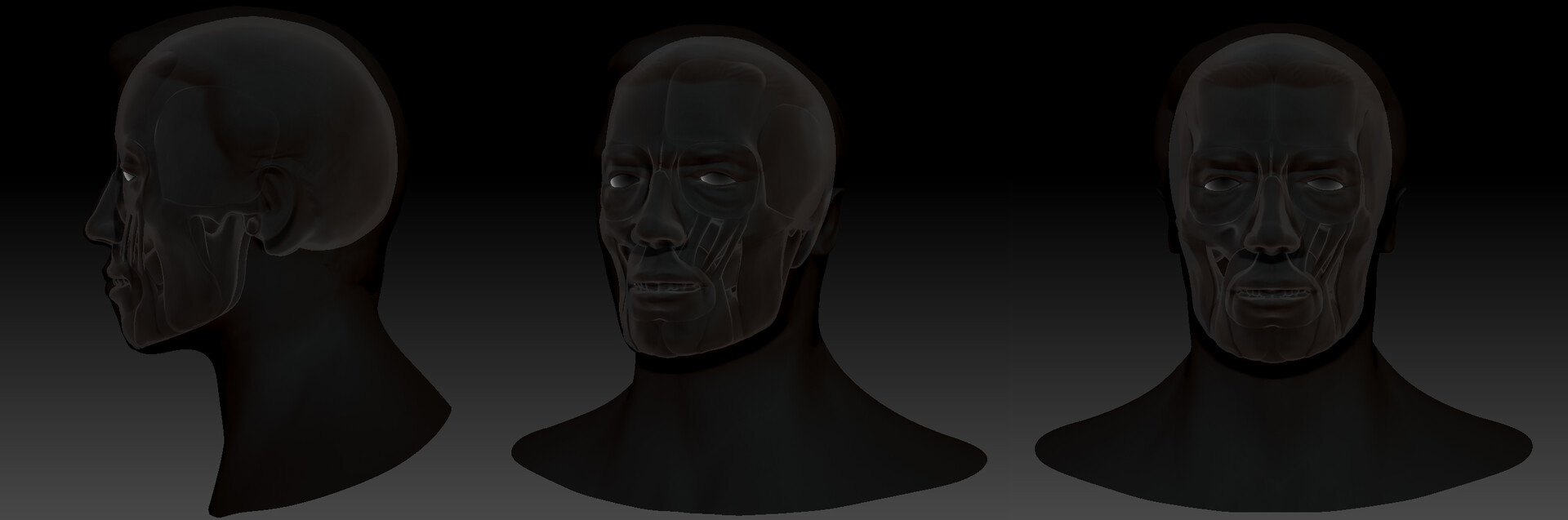 ArtStation - Face Anatomy Study (2010)