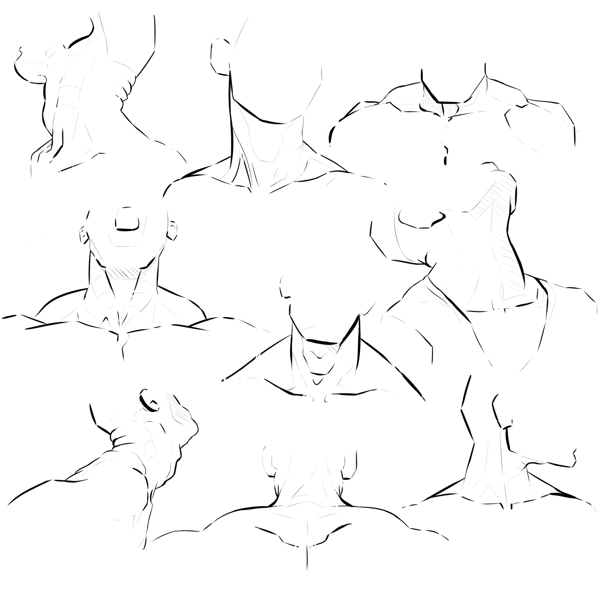 ArtStation - Neck study sketch