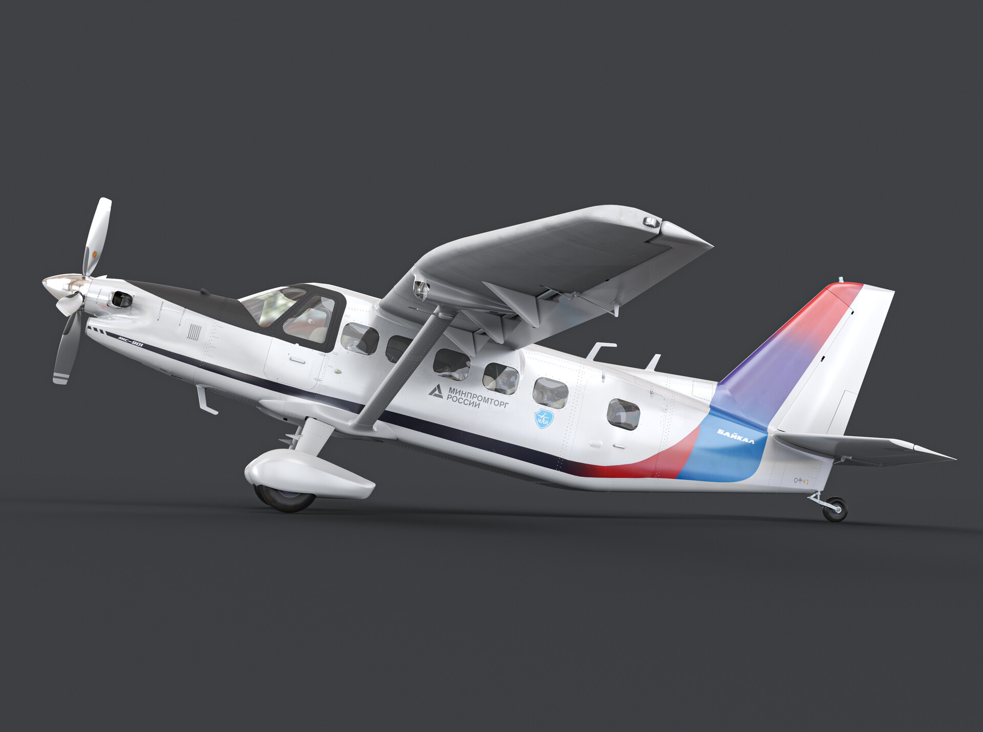 Michael Gasparyan - LMS-901 Baikal aircraft