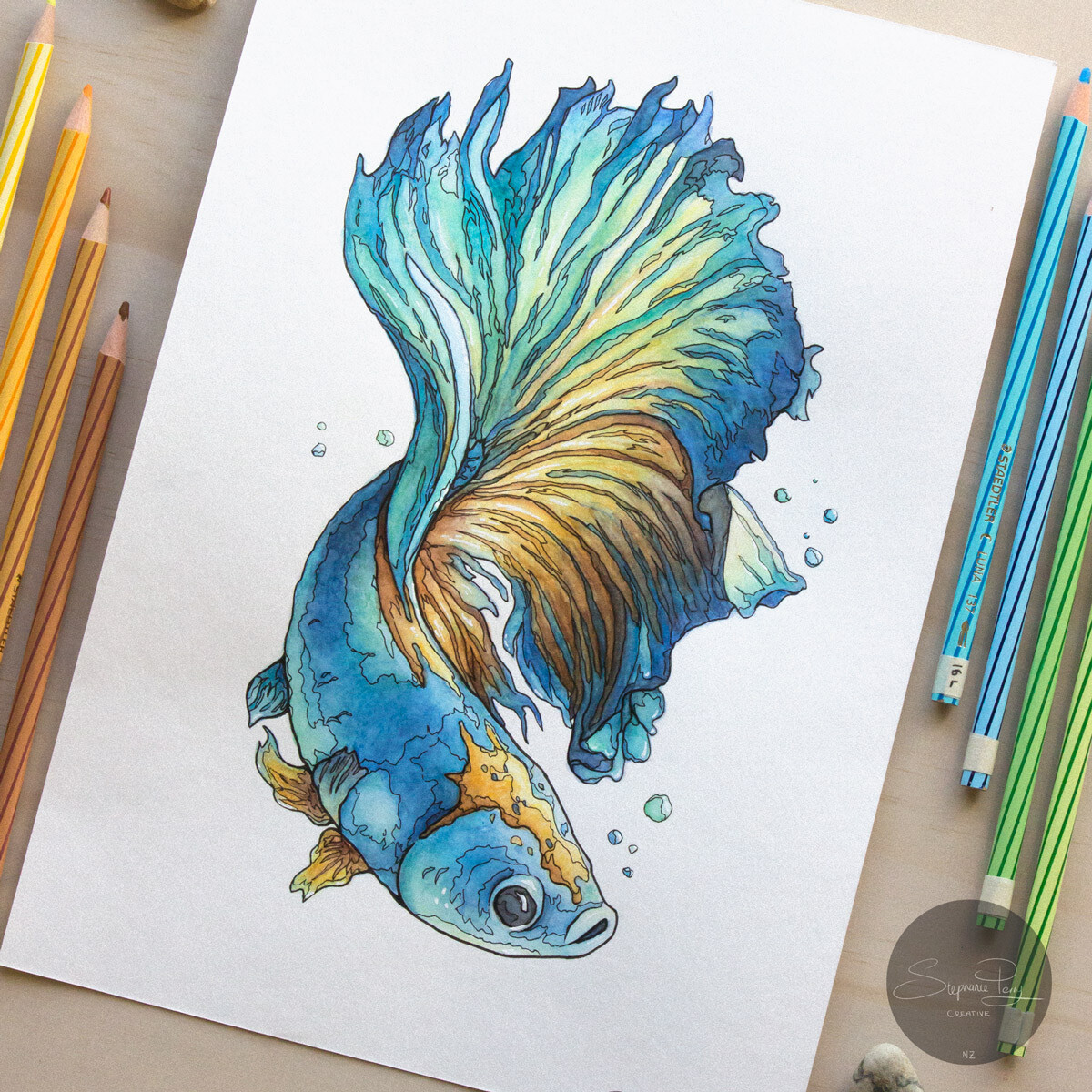 Betta Fish Pencil Drawings