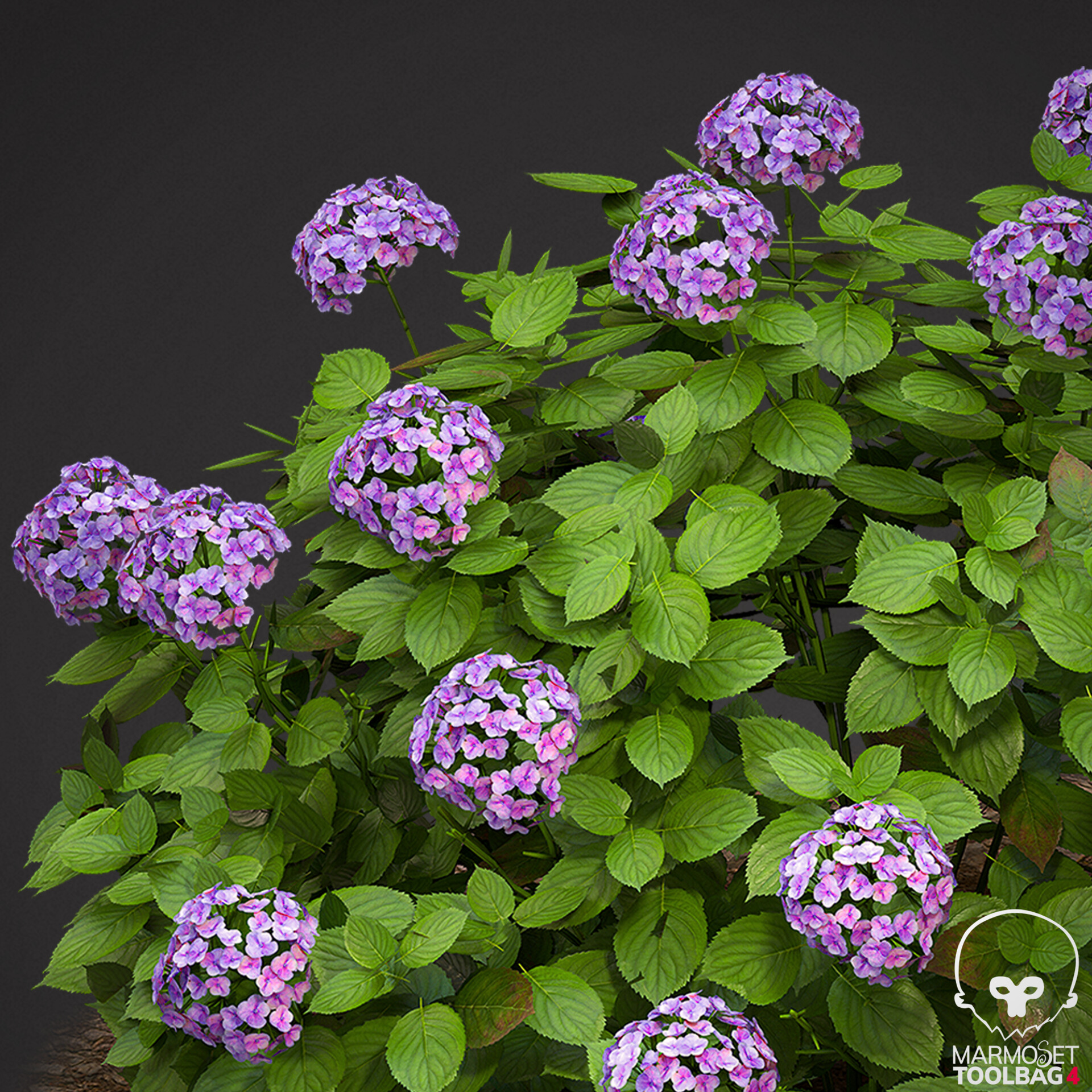 Eric Blaida - Hydrangea bush game-ready.