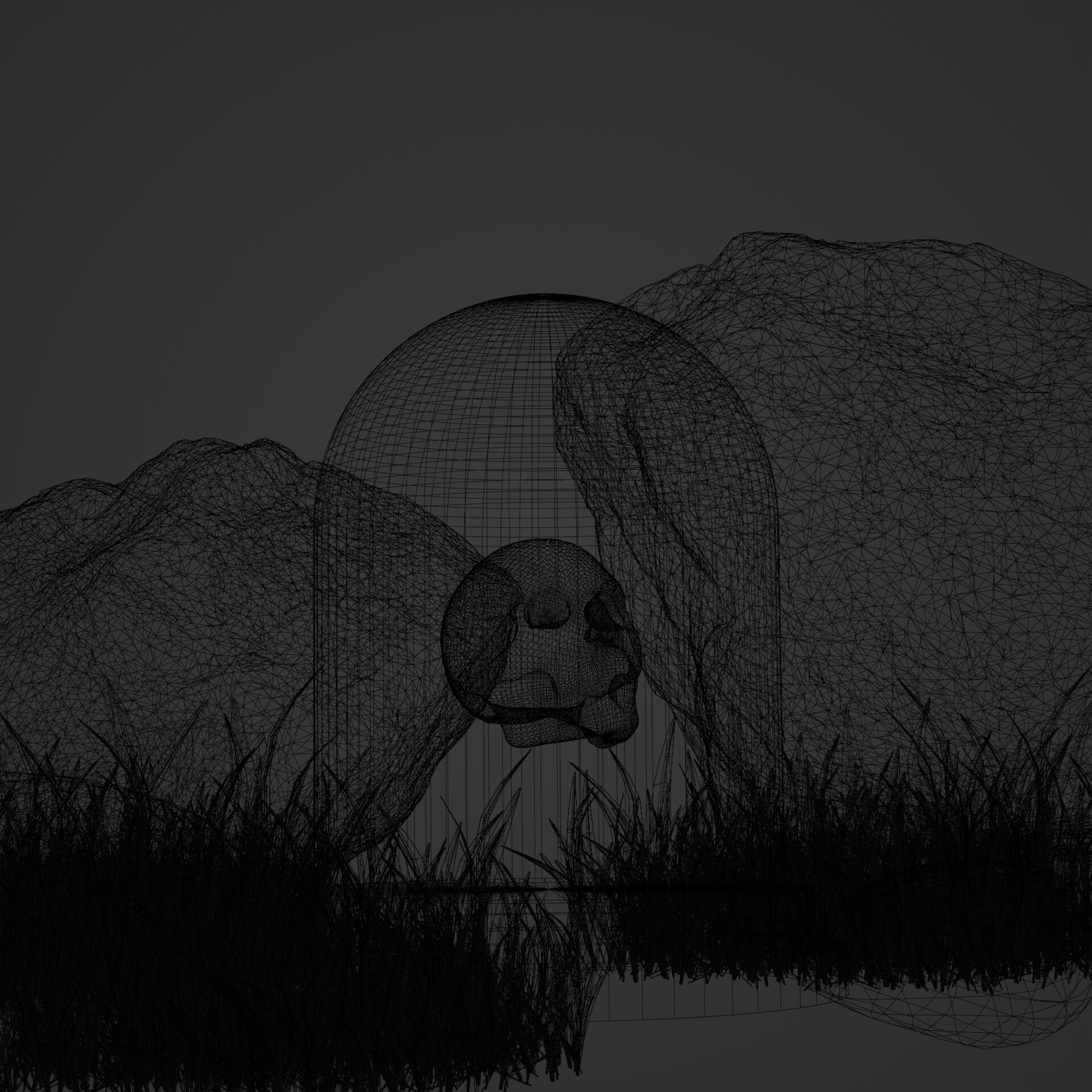 Gulsher Siddique - Sky-Leton