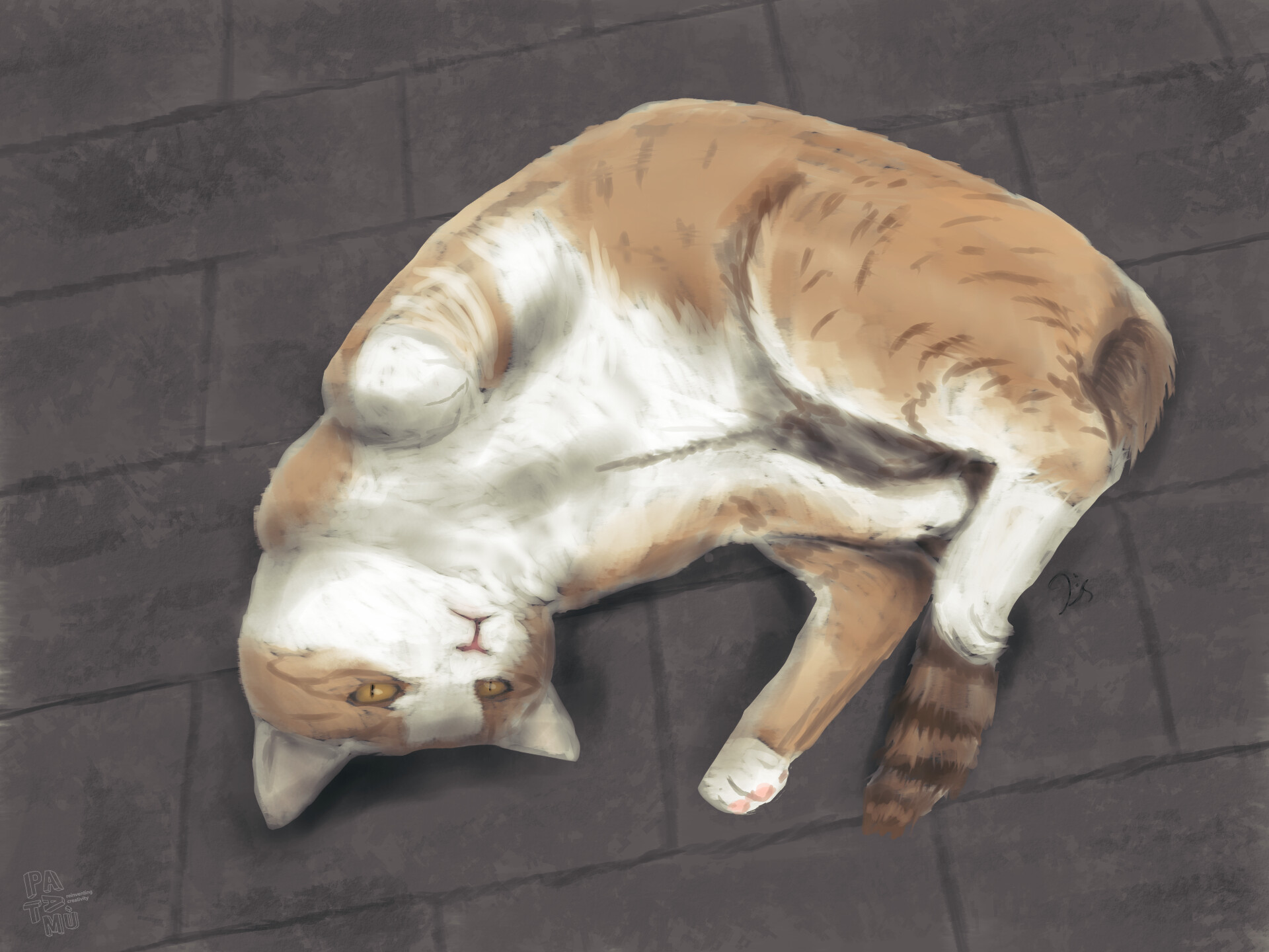 ArtStation - Cat Gustavo Rolling