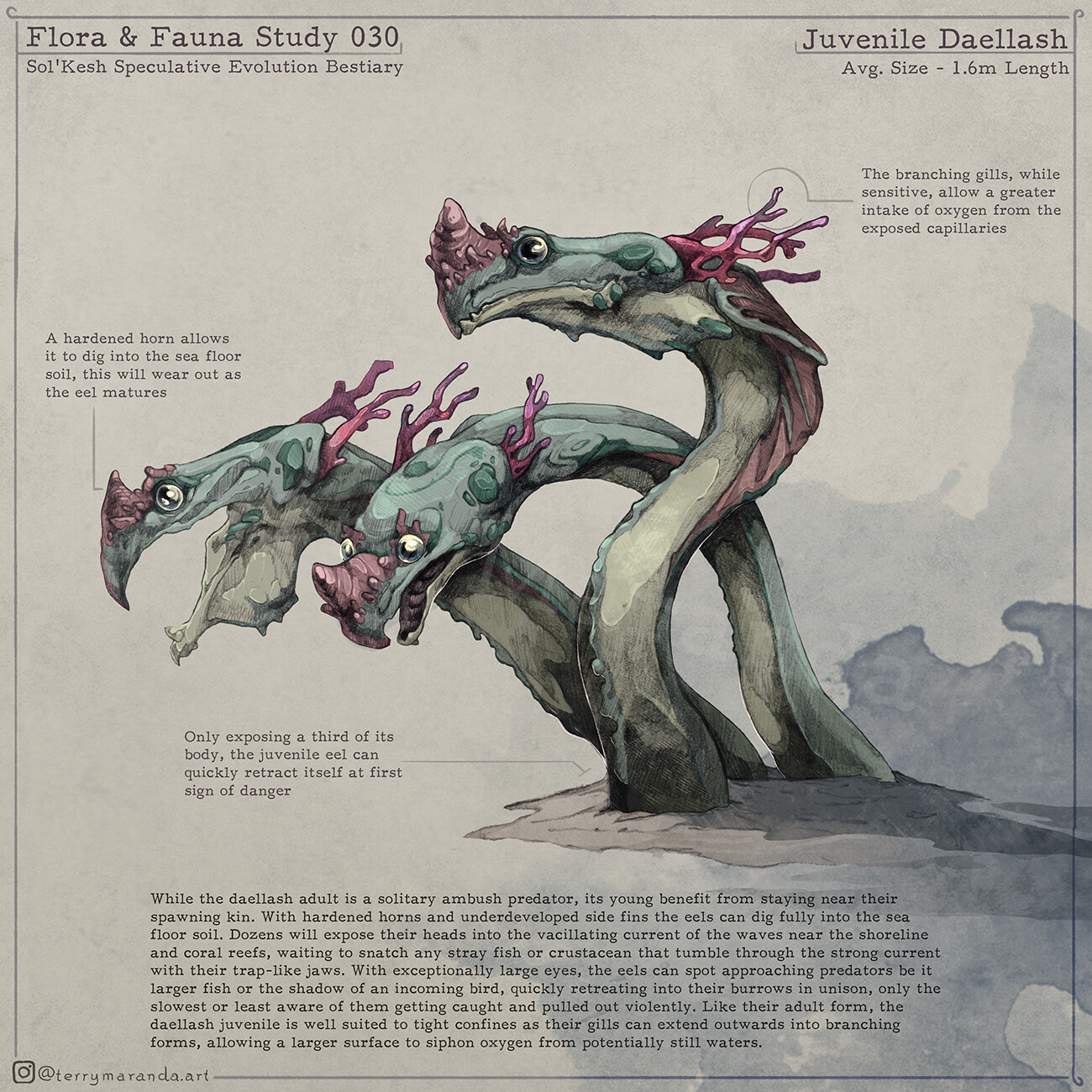 Terry Maranda - Daellash