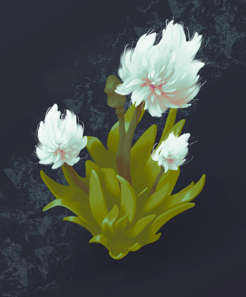 ArtStation - Anastasia Tereshchenko