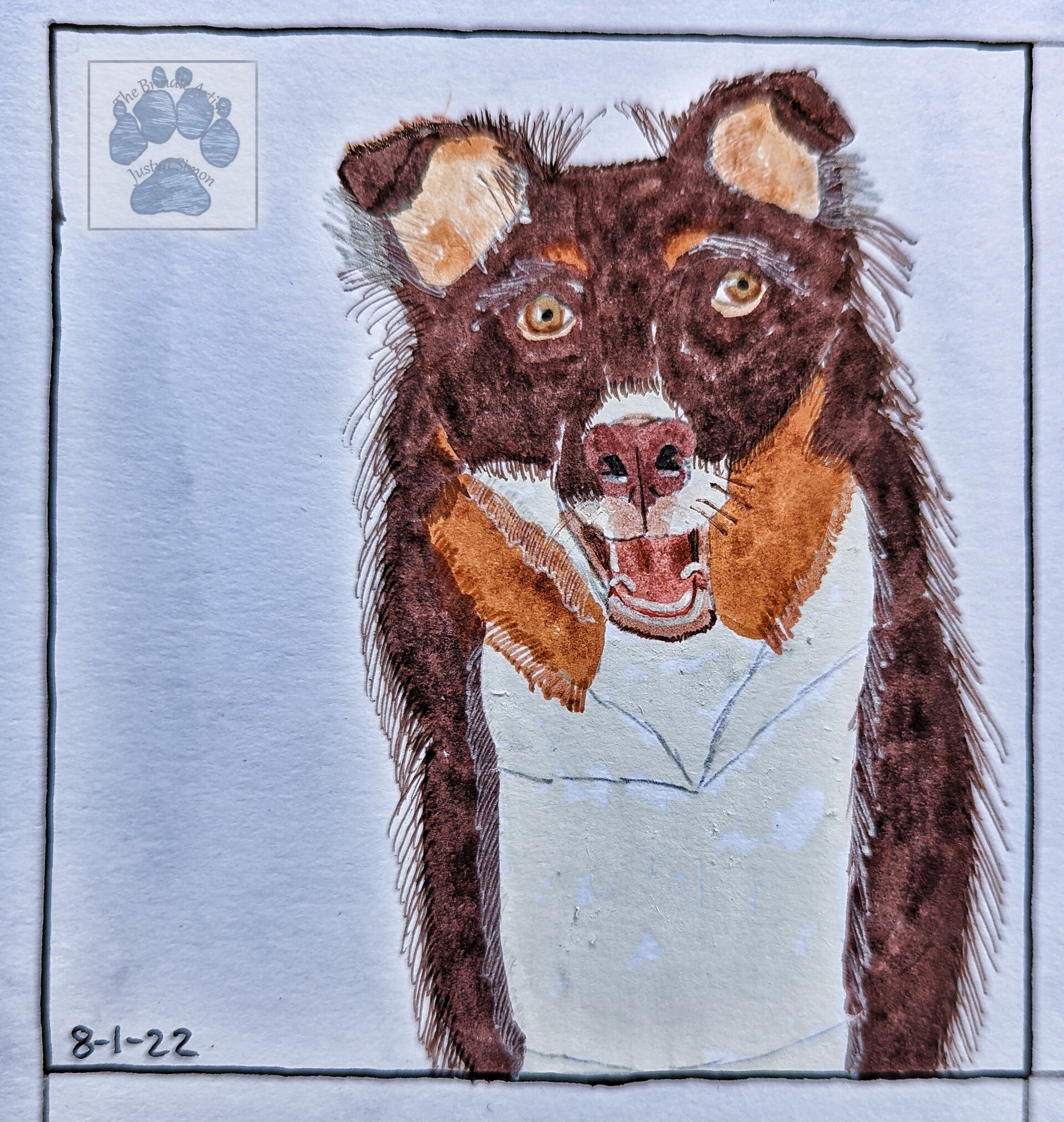 ArtStation - Doggust Drawing 1 - Shetland Sheepdog
