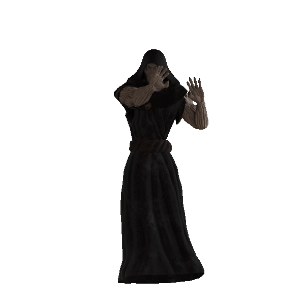 William Jacob - Wizards Of Nature (Rig and Animation - Necromancer)