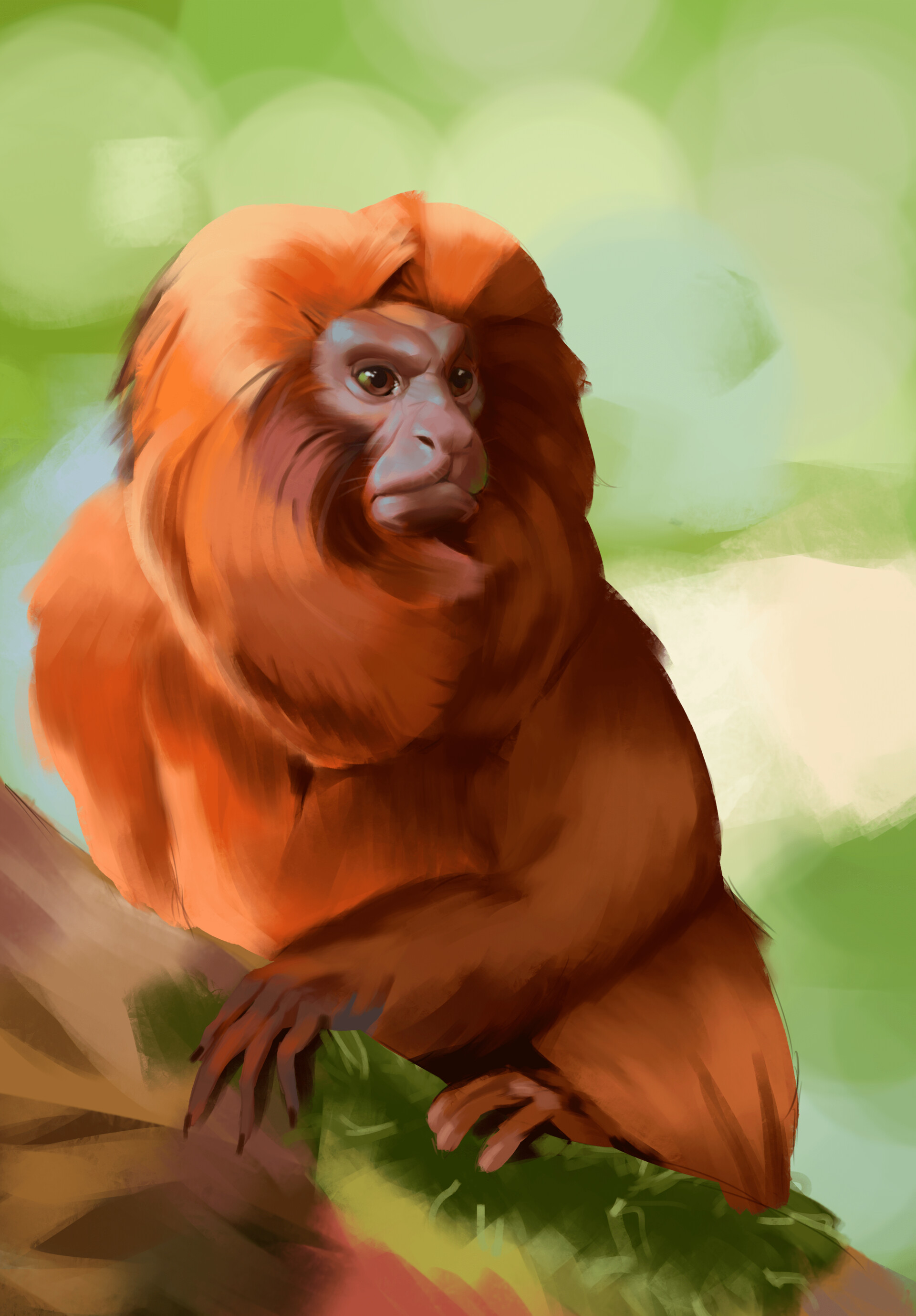 ArtStation - mico-leão-douradp