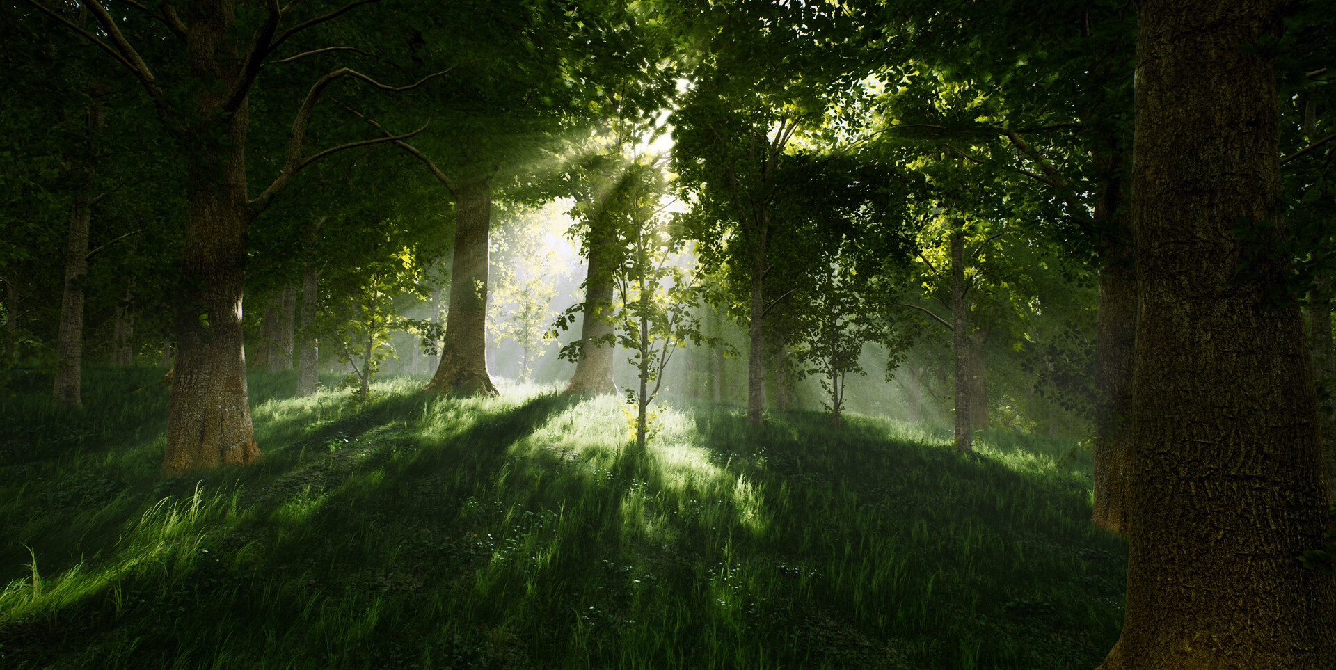 ArtStation - First Light