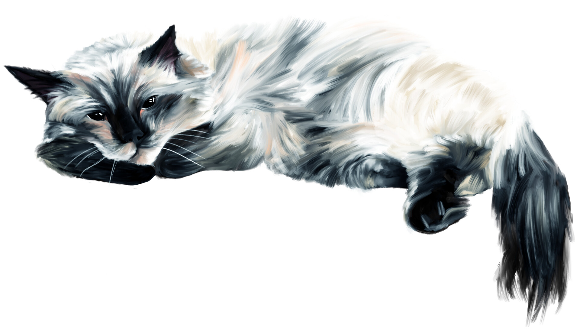 ArtStation - Pet cat commission part 1