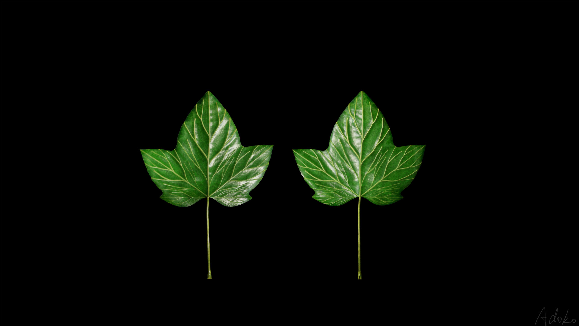 Adoko - leaf generator