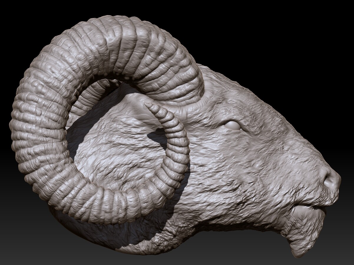 ArtStation - Practice: Goat head sculpt