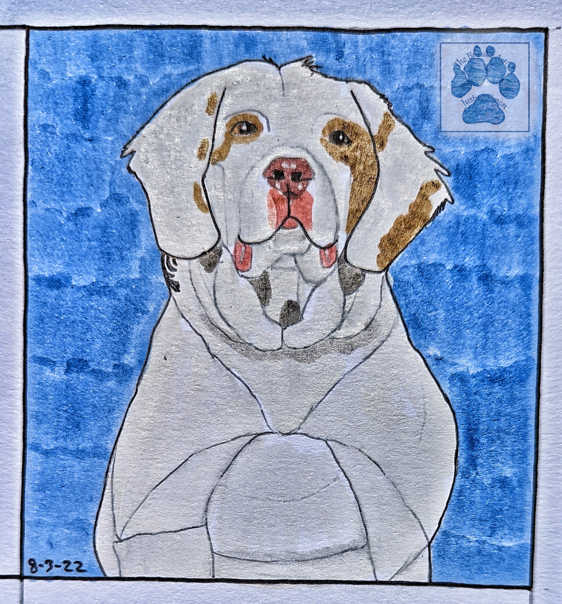 ArtStation - Doggust Drawing 3 - Clumber Spaniel