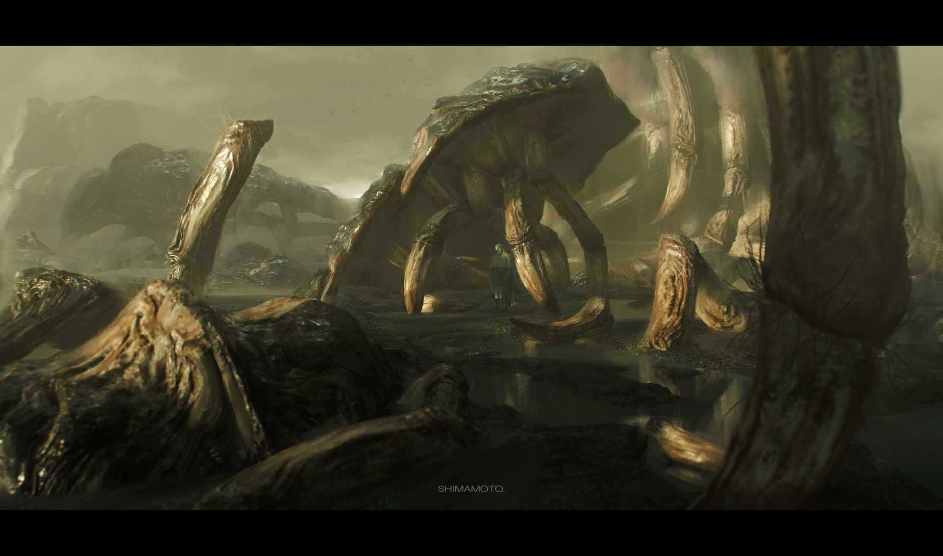 Shimamoto . - Shells / 01