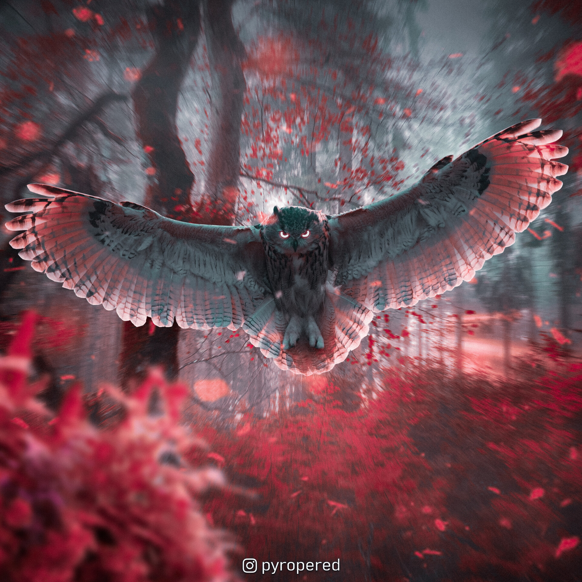 ArtStation - Red Owl 🦉 ♥