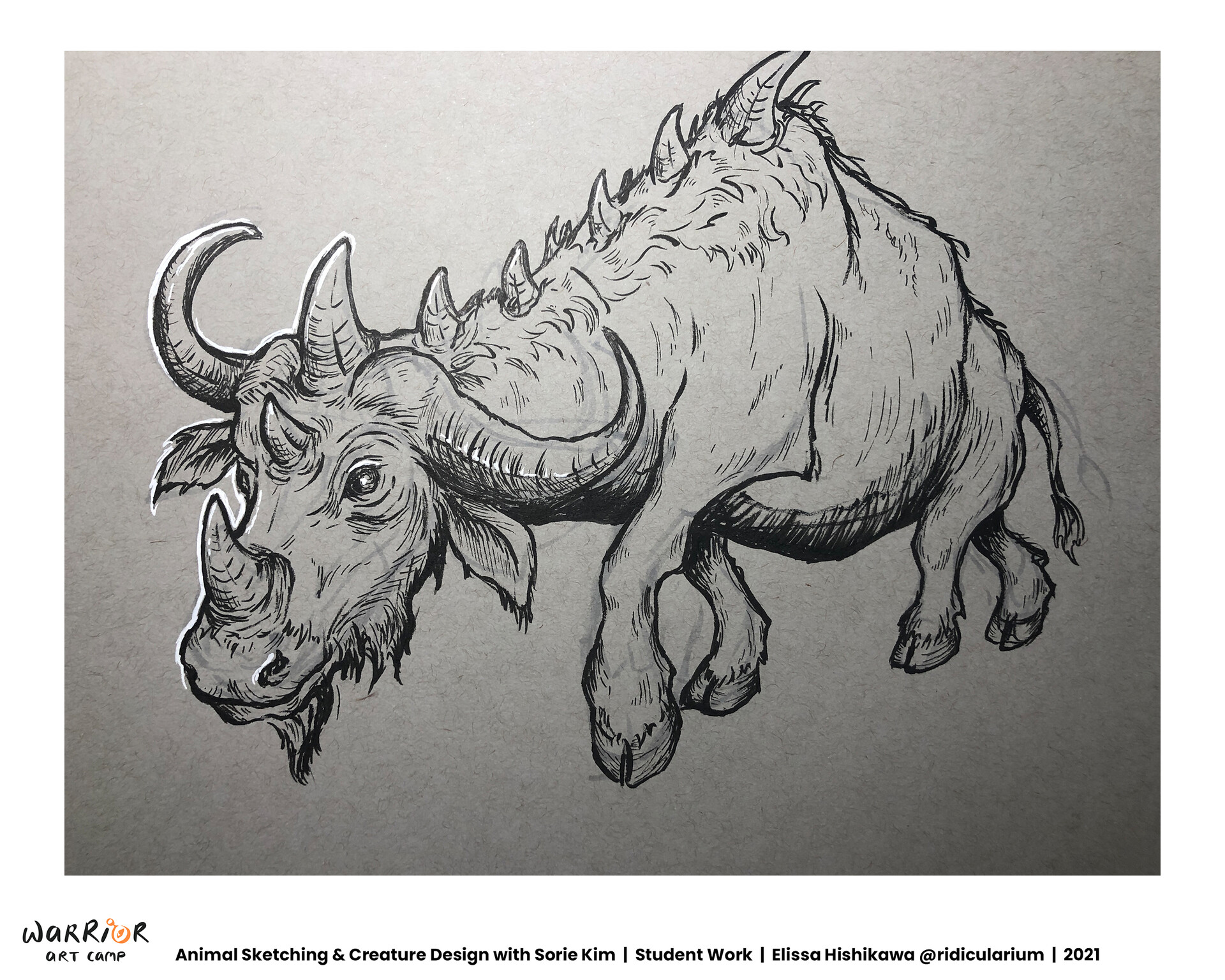 ArtStation - Elissa Hishikawa | Animal Sketching & Creature Design with ...