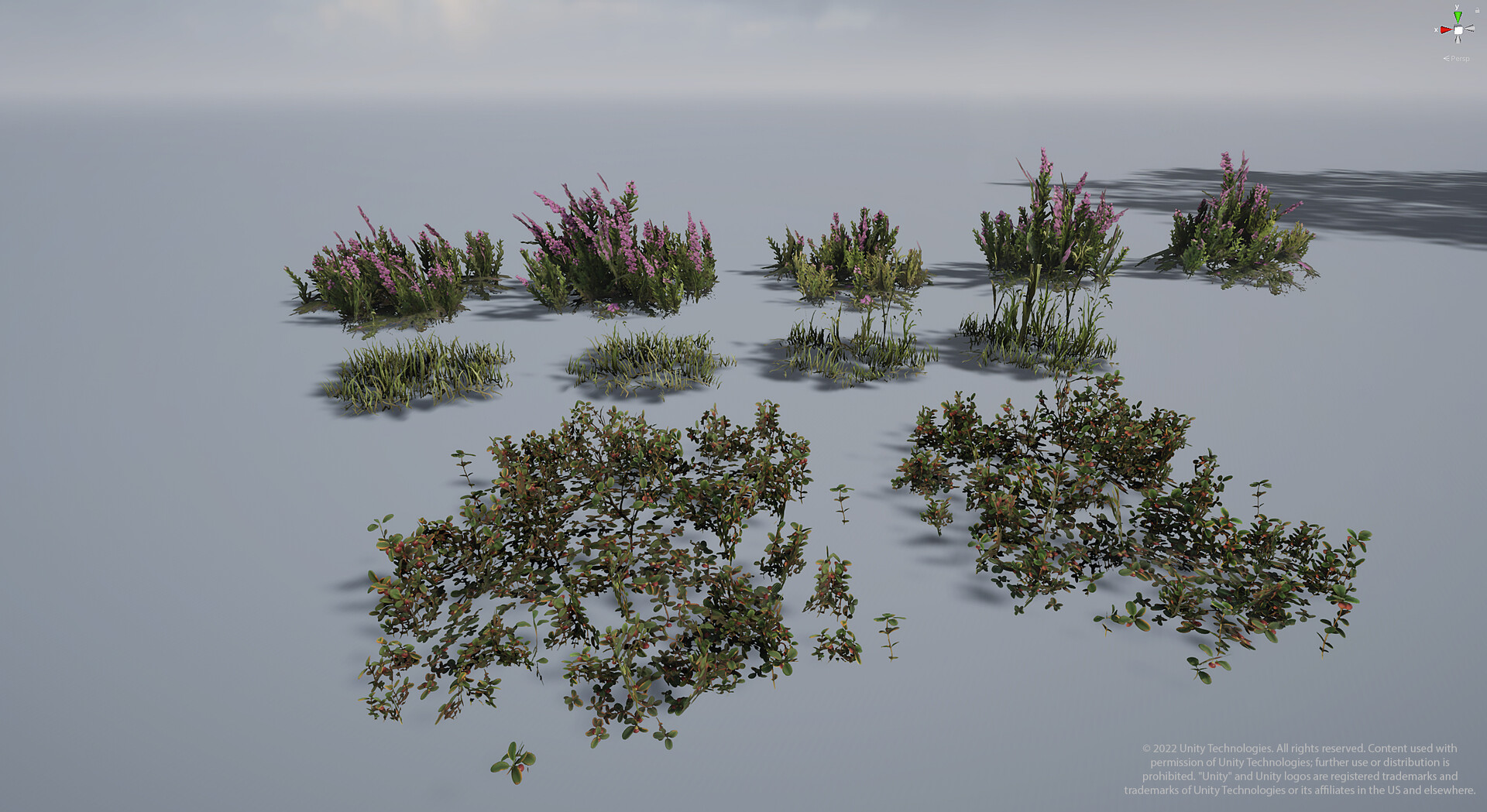 Janus Kirk Kirkegaard - A2 Validation Scene