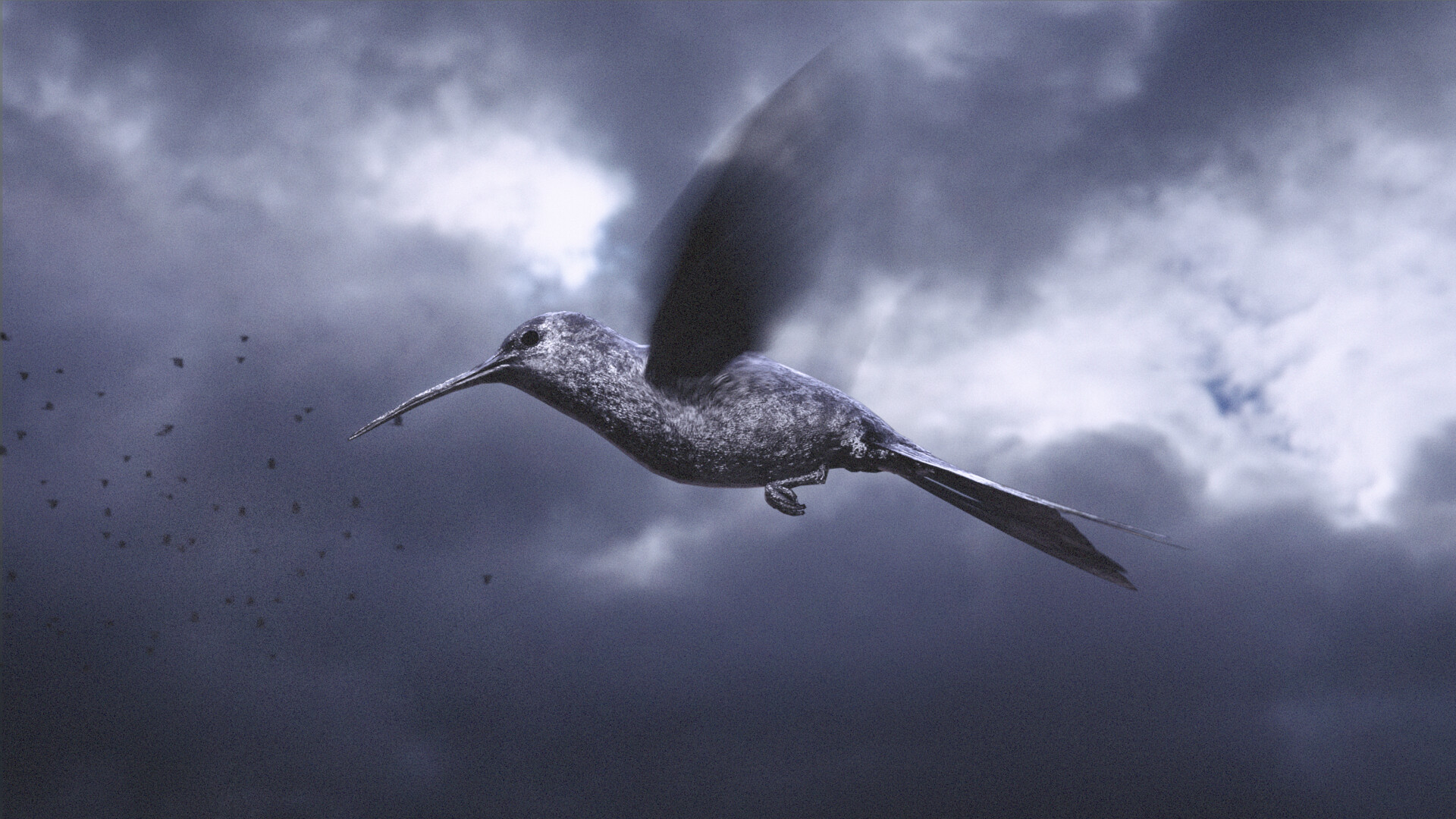 ArtStation - Dark Hummingbird